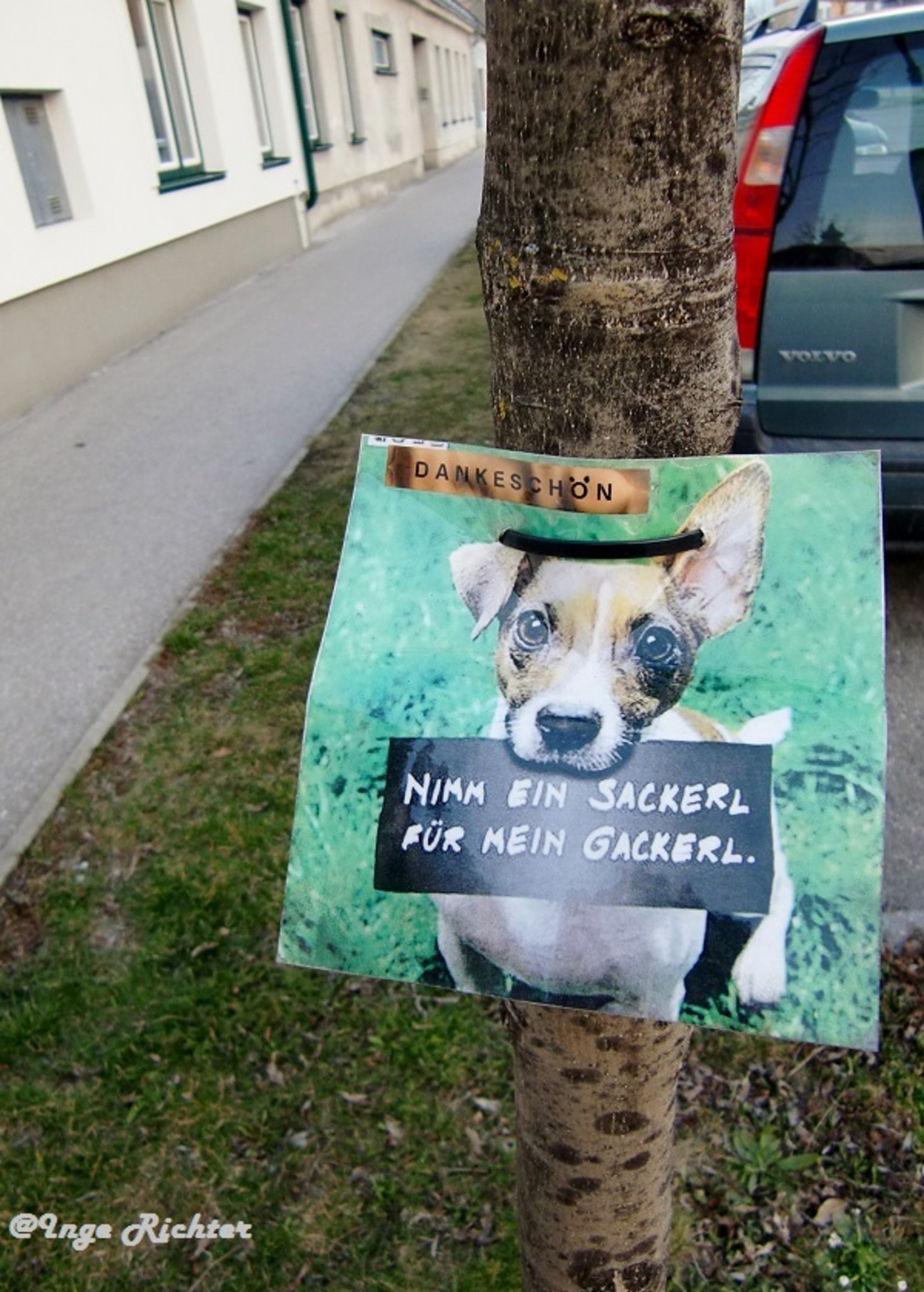 Sackerl fürs Gackerl - Steinfeld