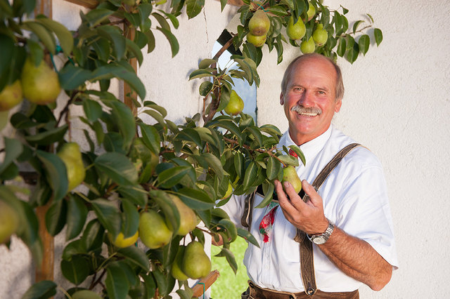 Oba brenna tuat er guat – Auszeichnungen für Matthias Gasteiger ...