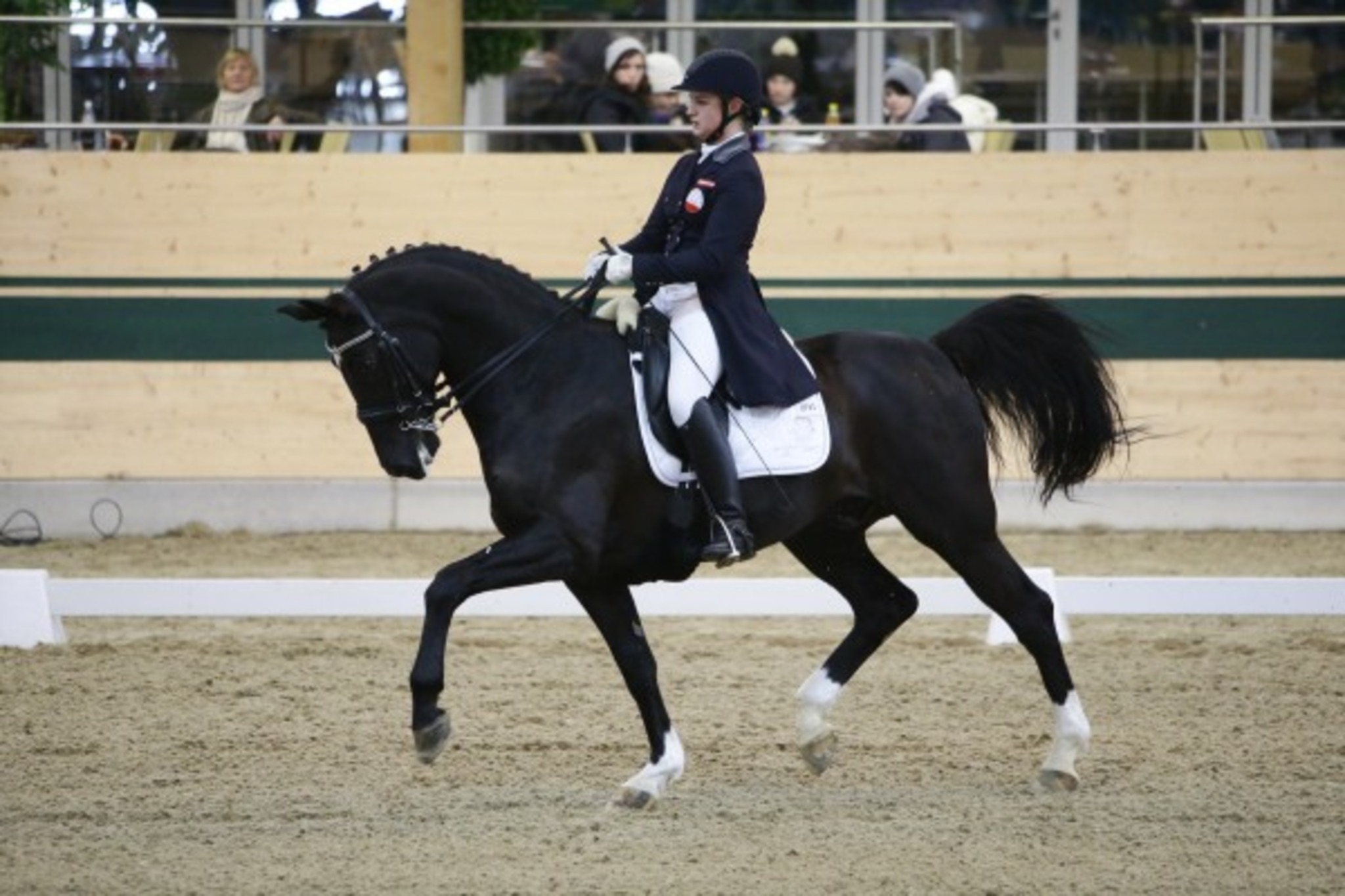 MAGNA RACINO Pferdesportnews - Dressurreiten: Erfolgreicher „Warm up ...