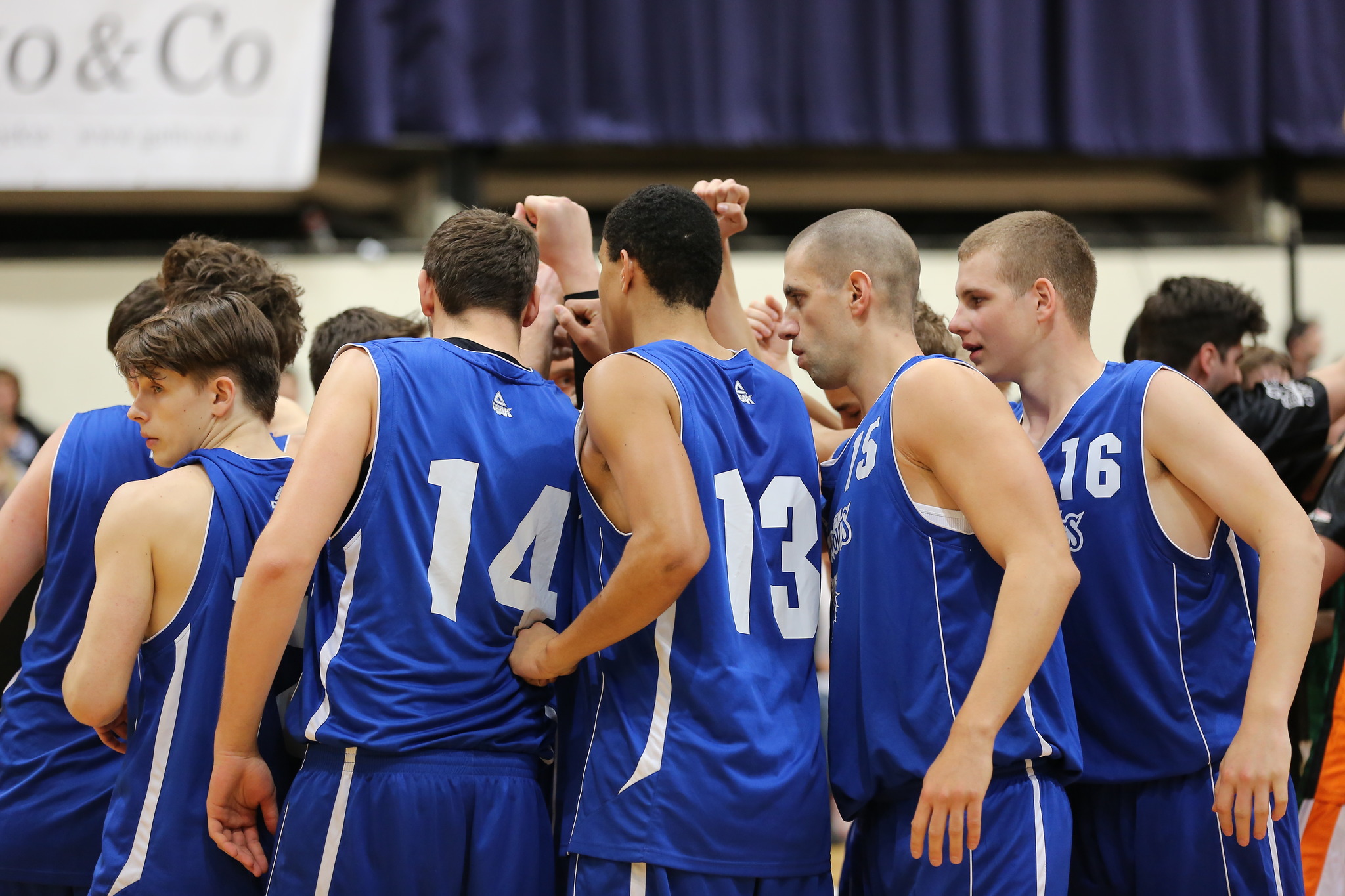 Das hat Wien noch nicht gesehen - Basketball-Party im Wolves Dome ...