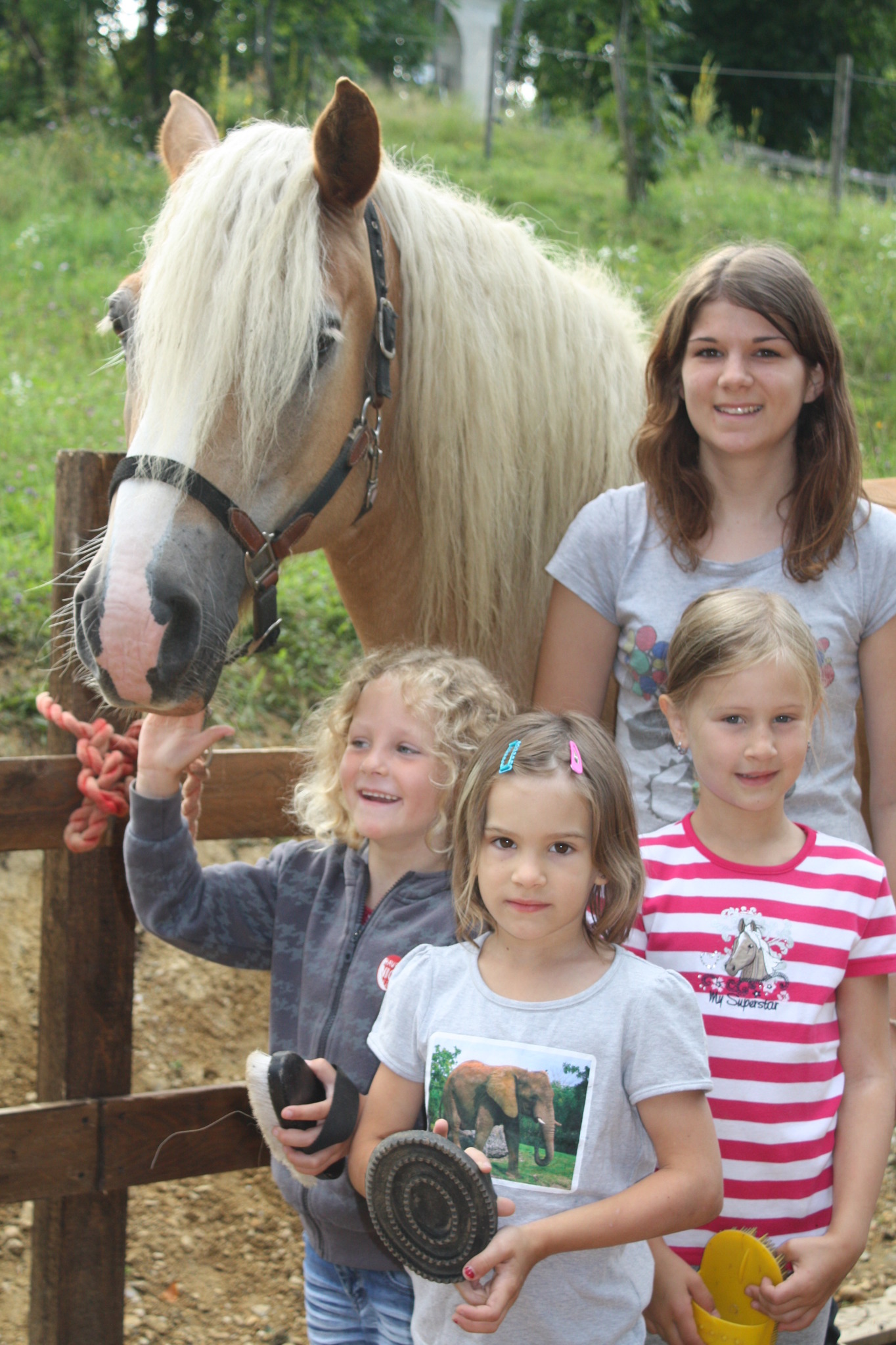 Kinder und Ponies starten ins Sommerprogramm 2014 - Oberwart