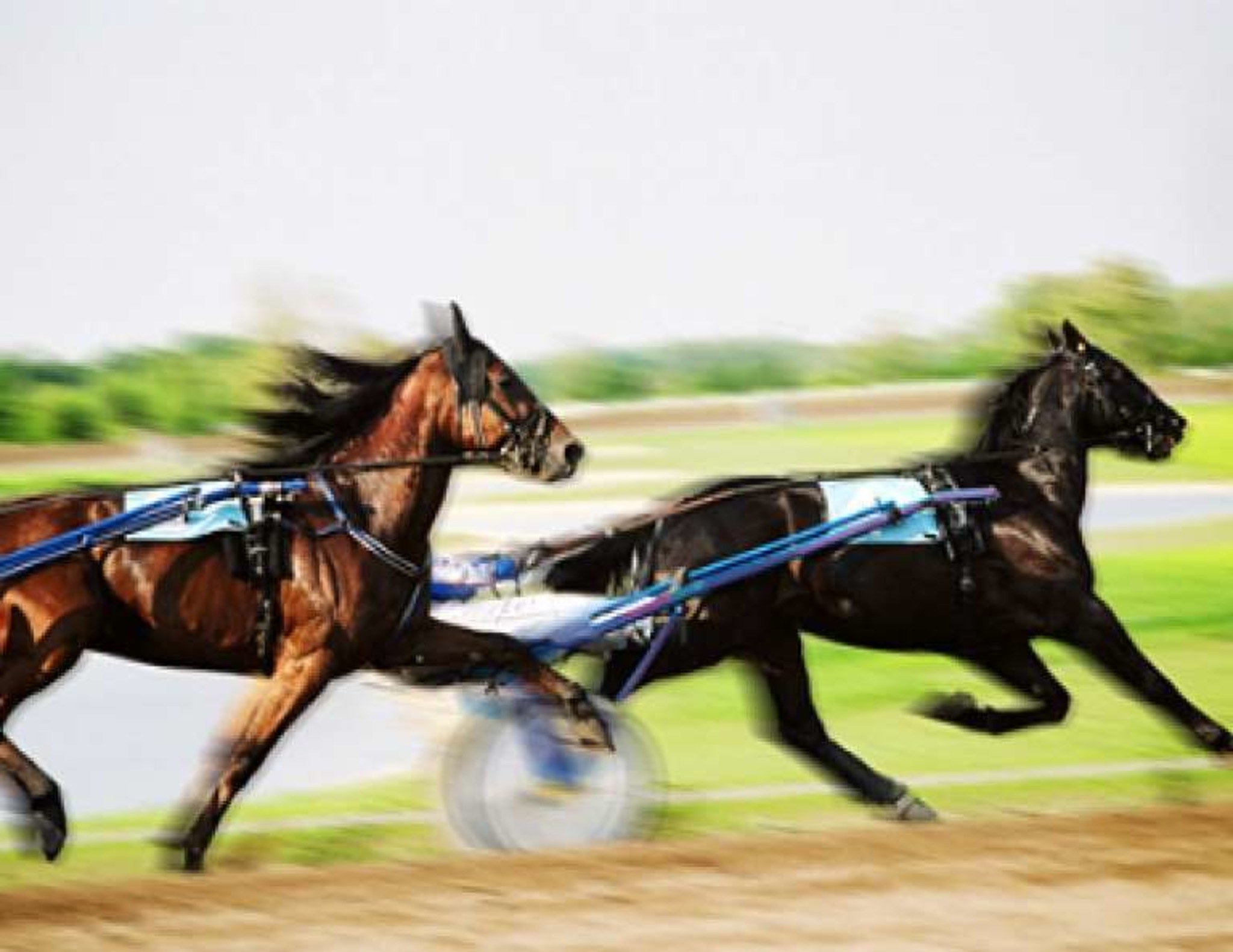 MAGNA RACINO Rennsport News: Der erste PMU Renntag im MAGNA RACINO war ...