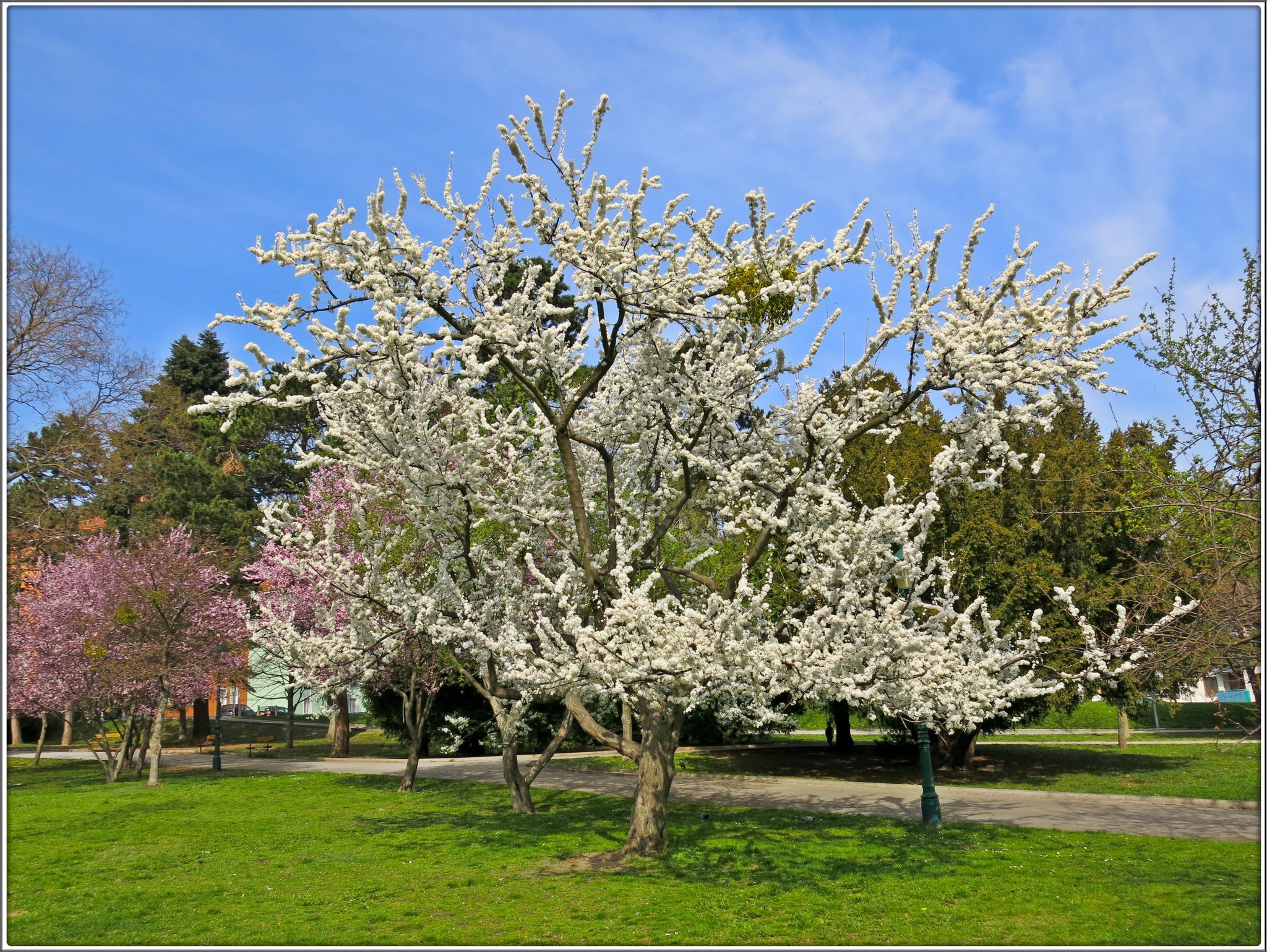 Fast schon kitschig ;) - Hernals