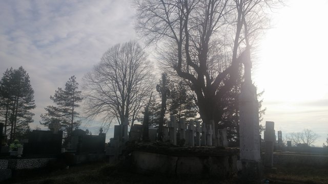 Guca Gora - Thema auf meinbezirk.at