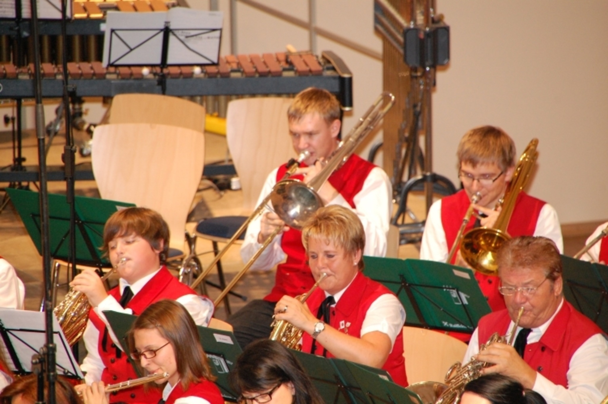 BURGGARTENKONZERTE 2014 | TRACHTENMUSIKKAPELLE BAD LEONFELDEN - Wels & Wels Land