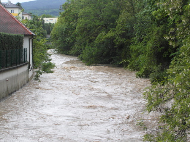 Hochwasser: Die Schwechat zeigte ihre Macht - Baden
