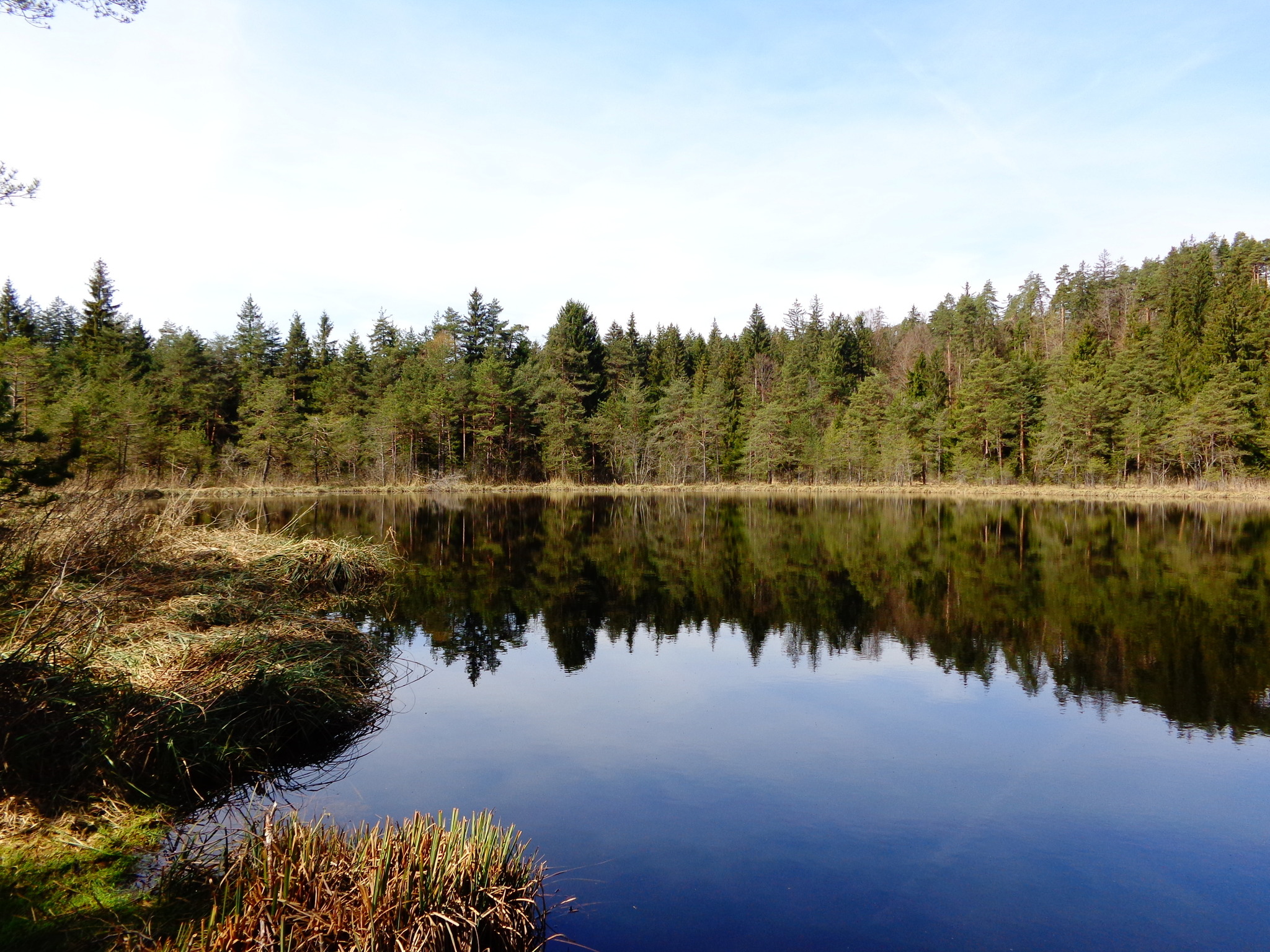 Blick zum Forstsee - Feldkirchen