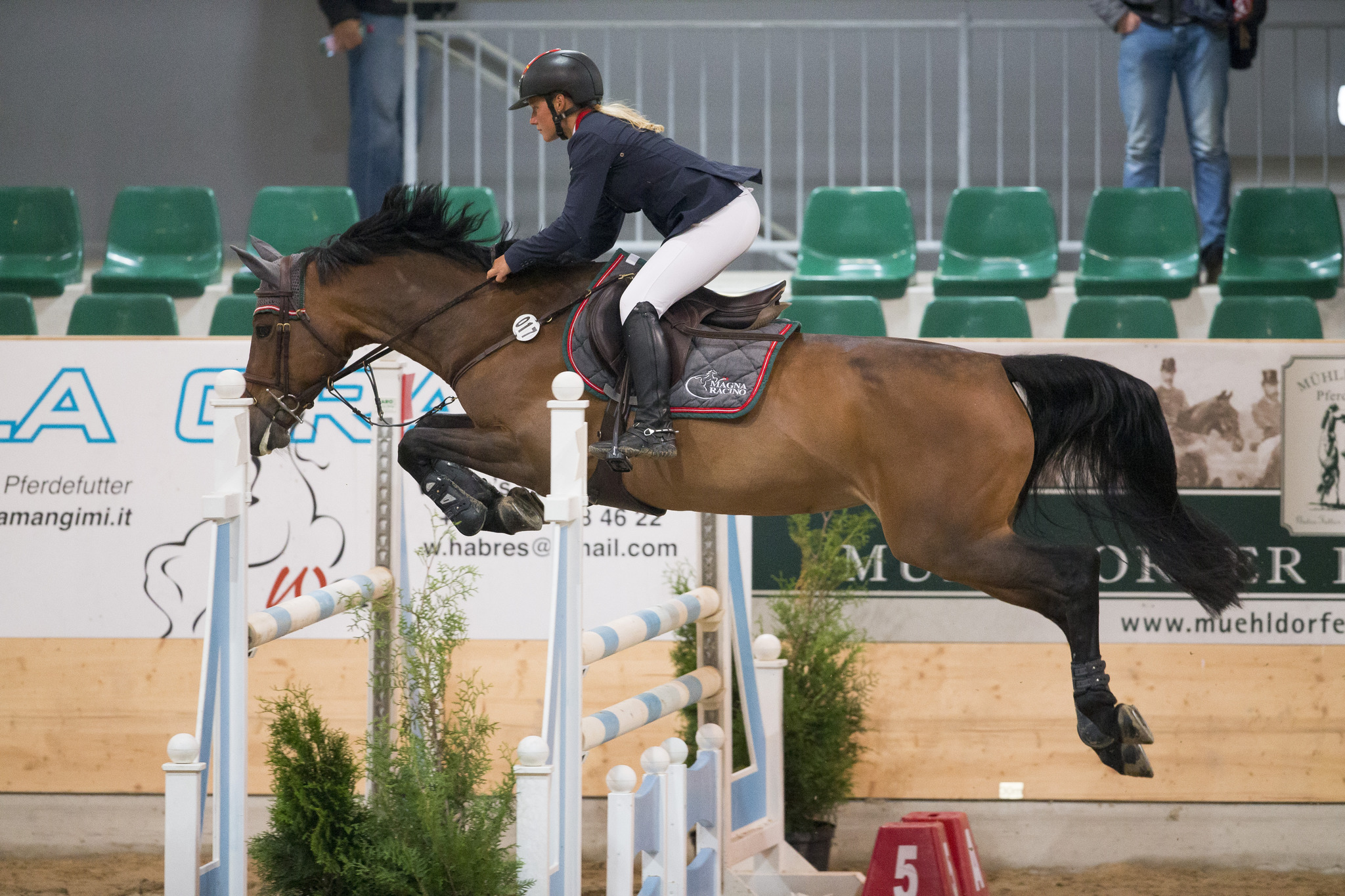 MAGNA RACINO Spring Tour 2014: Zwei CSI2* Indoor Siege für die Schweiz ...