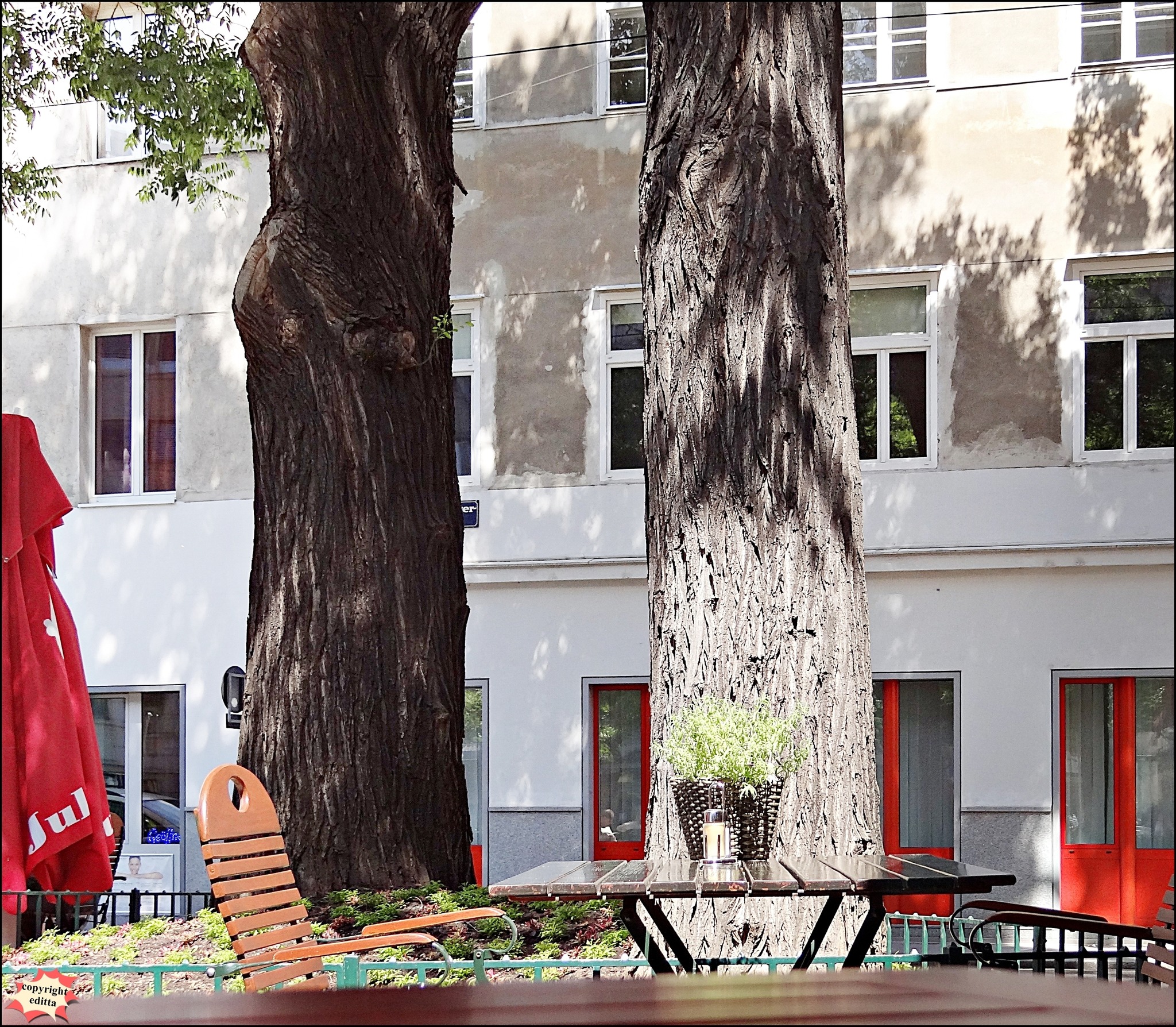 und wo ist das ..... natürlich beim wortner! - Wieden