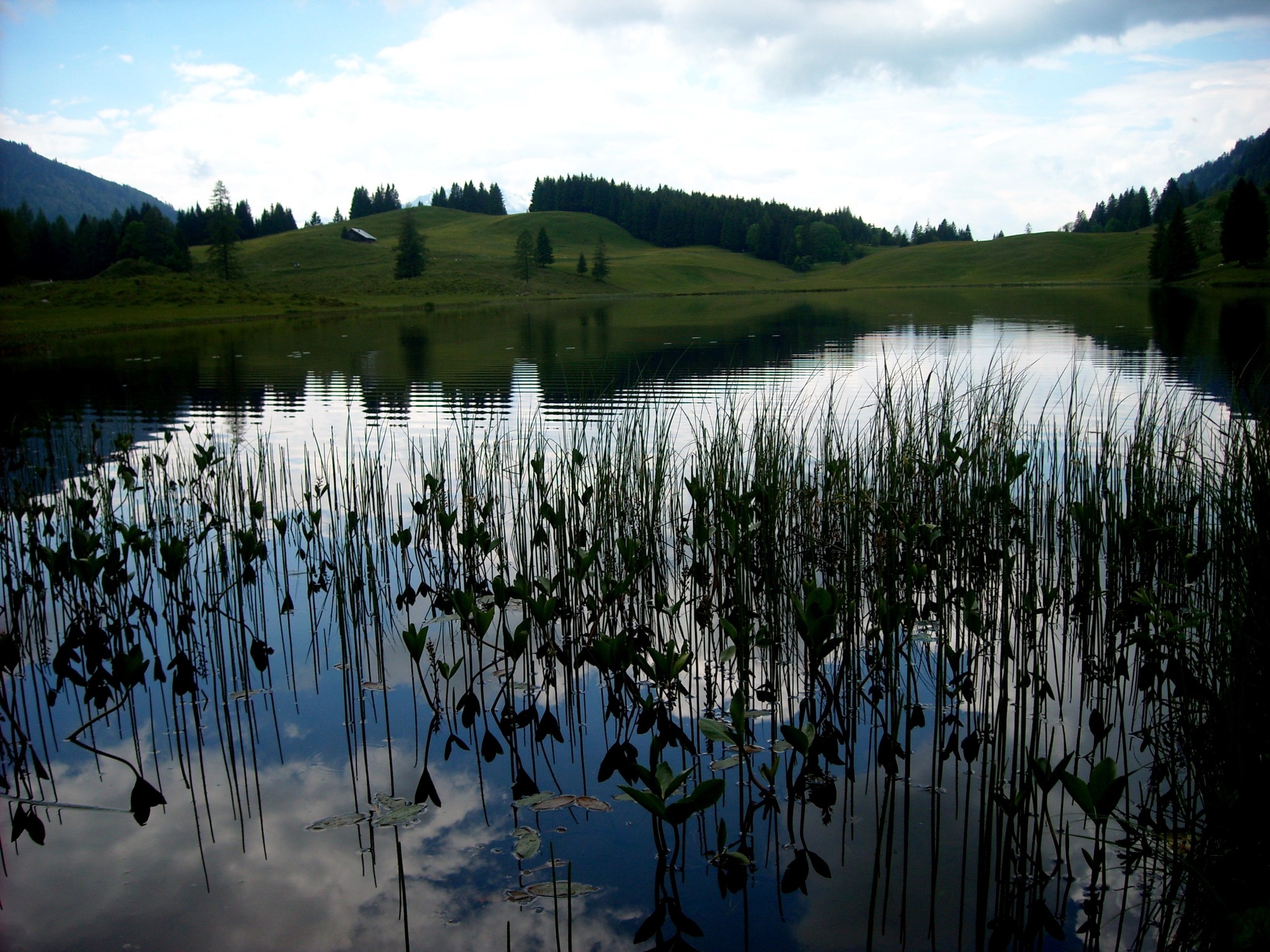 Seewaldsee - Salzburg-Stadt