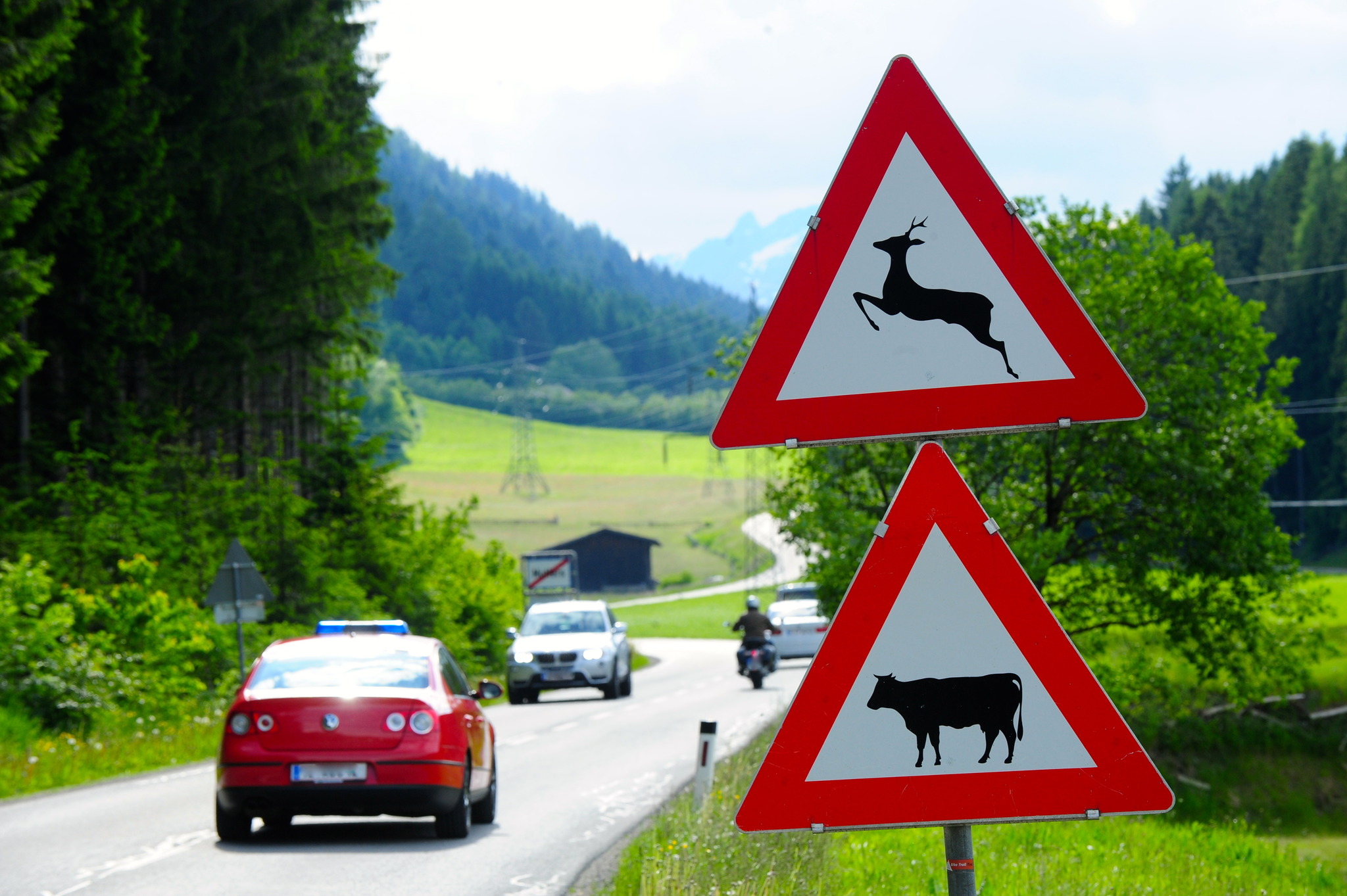Achtung: Wildwechsel auf der "Olympiastraße" - Westliches Mittelgebirge