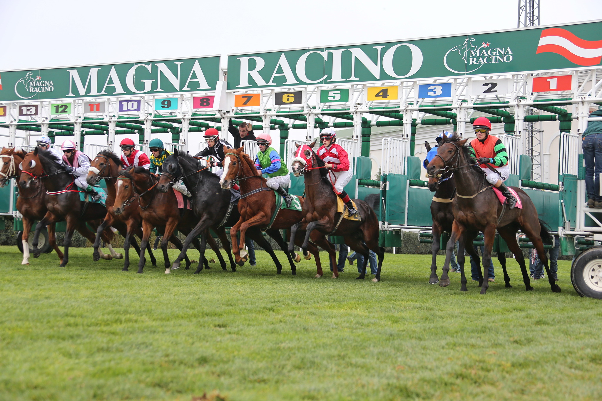 MAGNA RACINO Renntag 15.6.2014: Gaumenfreuden, actionreicher Rennsport ...