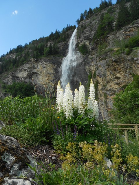 Der Fallbach-Kärntens höchster Wasserfall!!! - Spittal