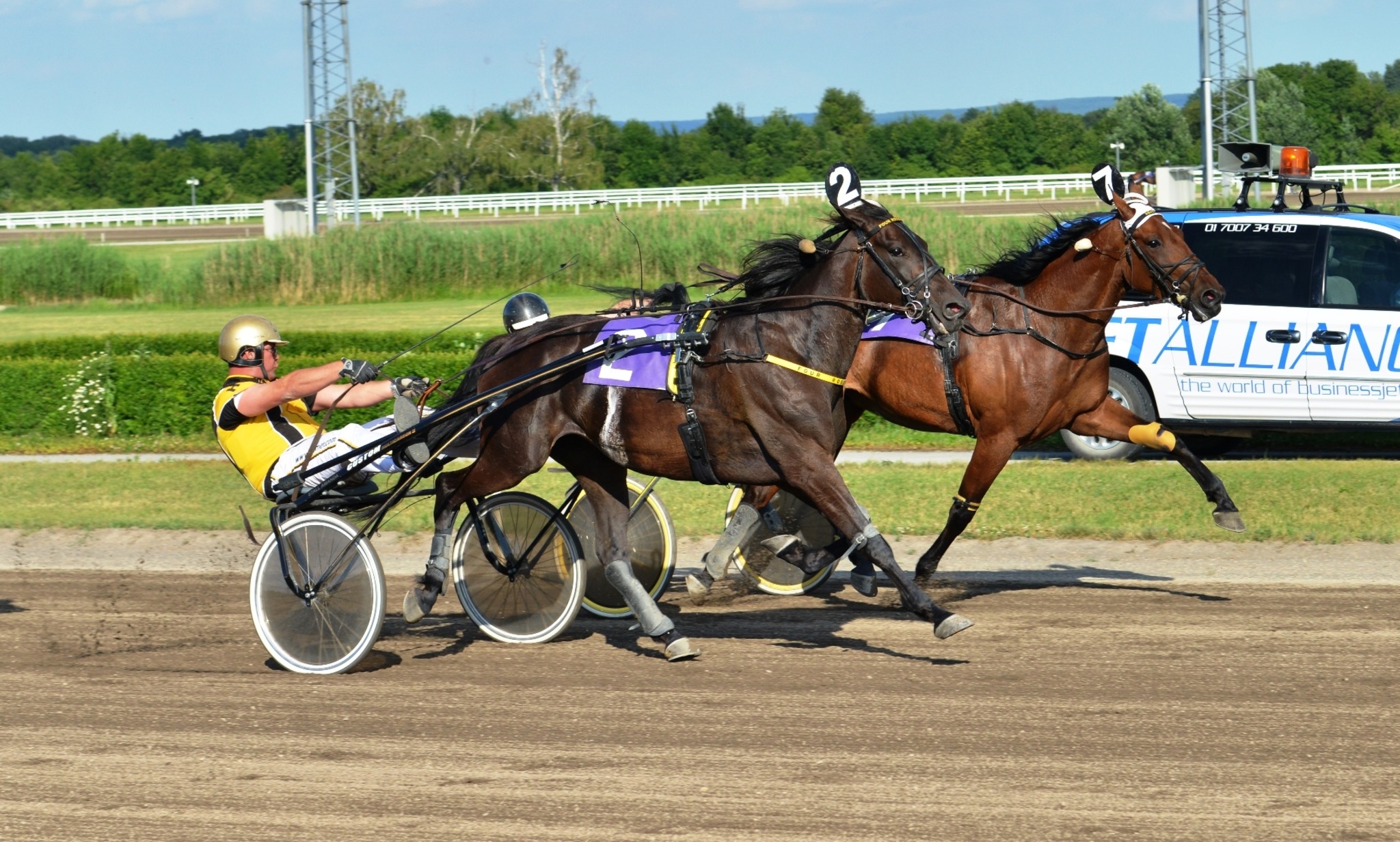 MAGNA RACINO Renntag News: 11 spannende Rennen am Traber-Sonderrenntag ...