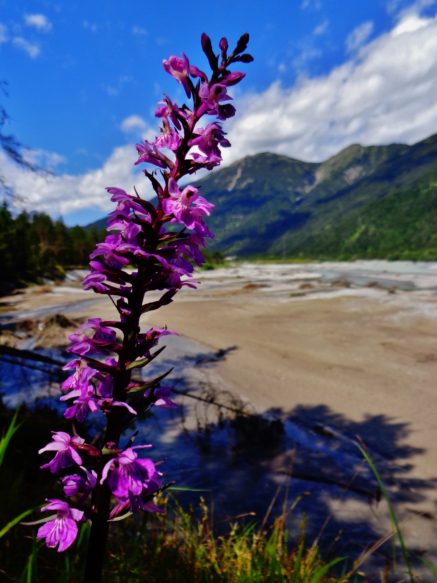 Am Lech entlang - Reutte