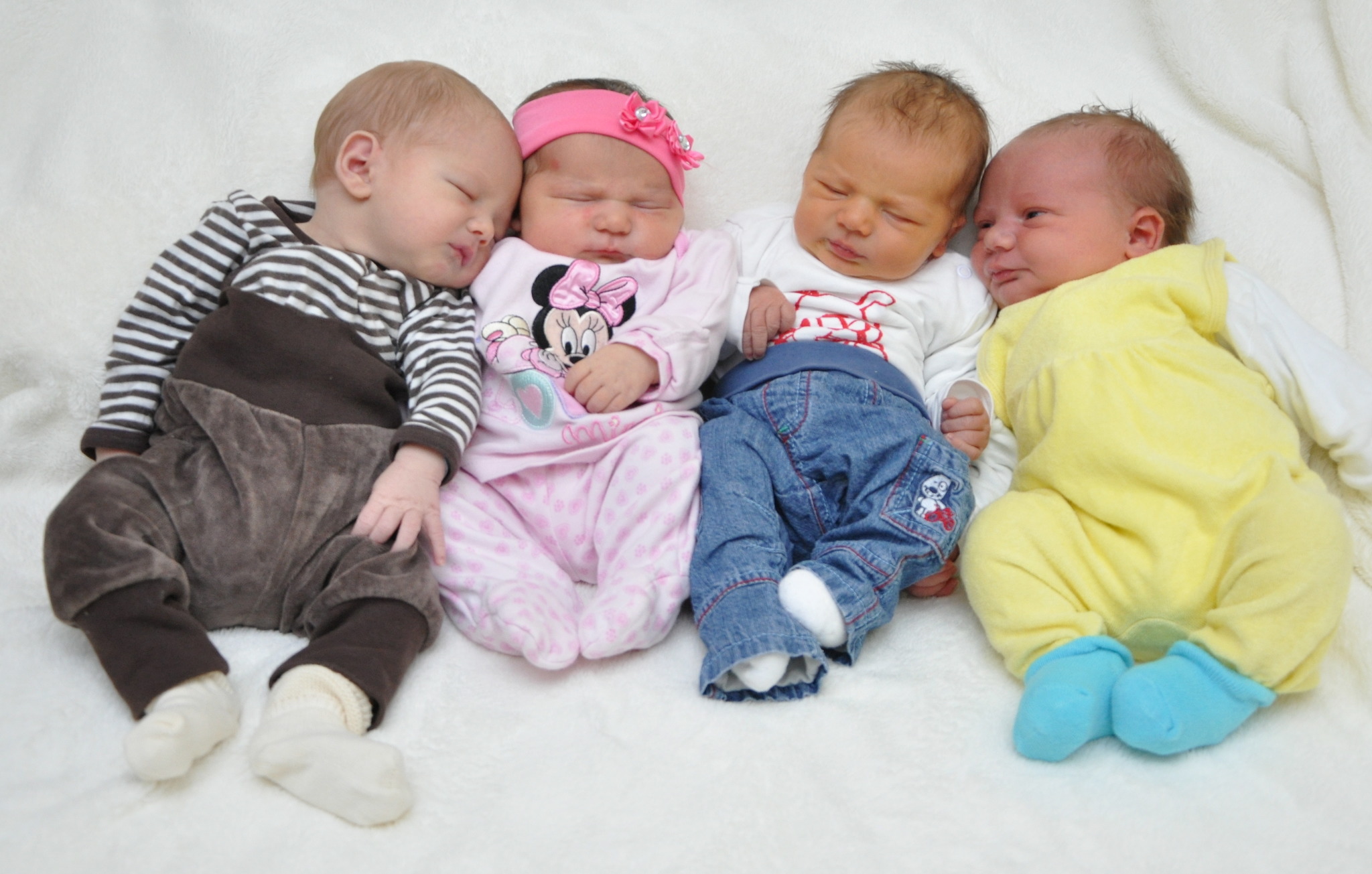 Ein ganz entzückendes Baby-Quartett - Freistadt