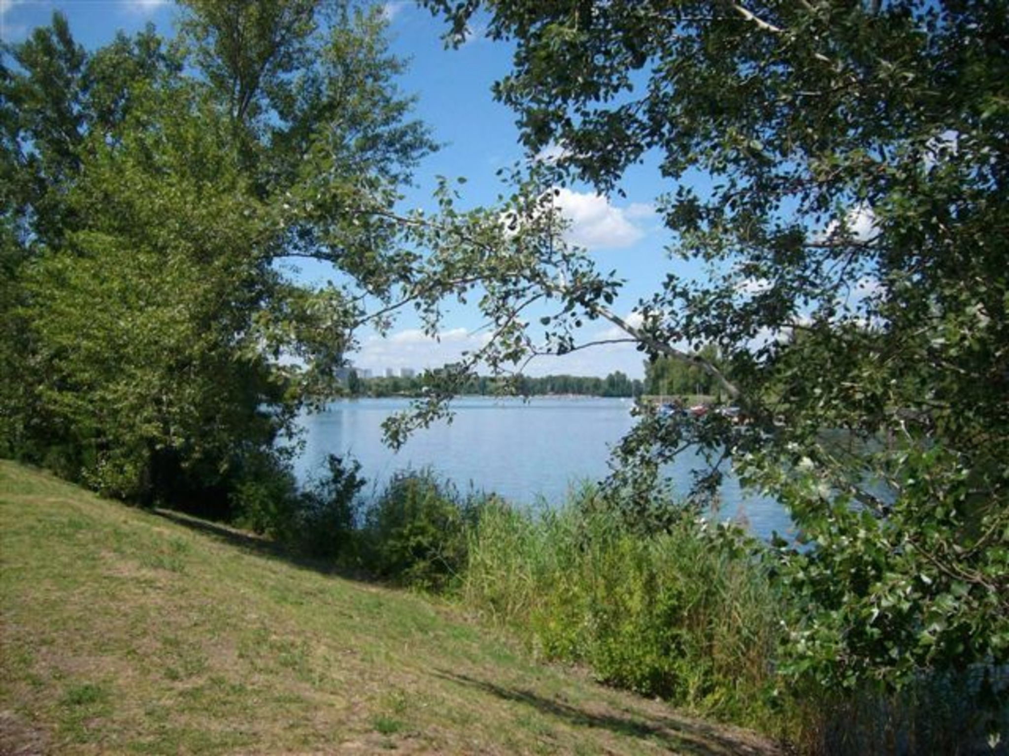 Radtour Alte Donau - Donaustadt