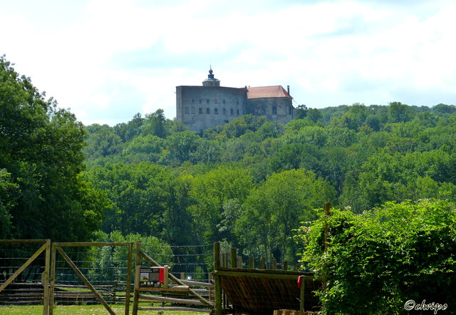 Wildpark Ernstbrunn - Korneuburg