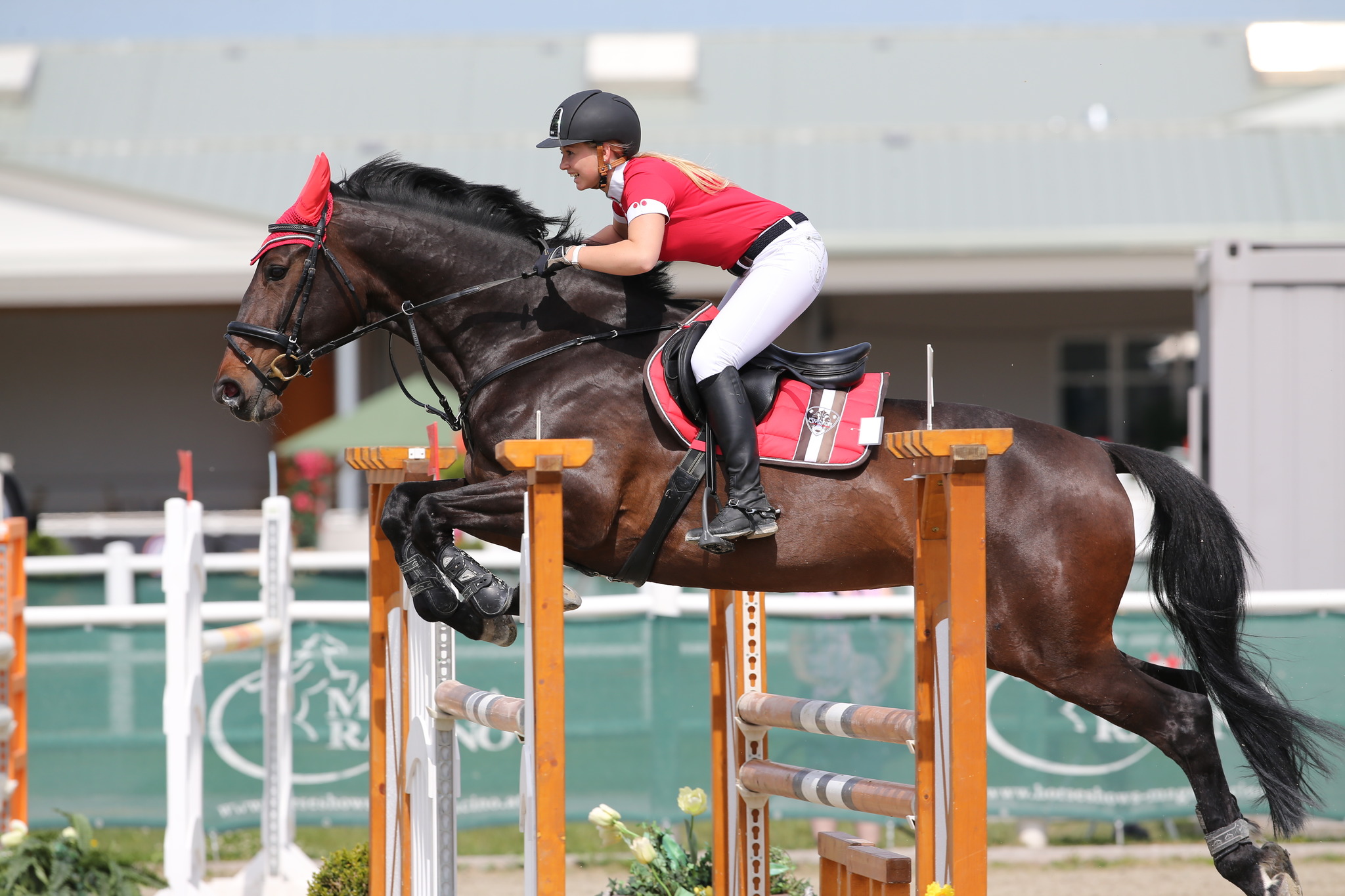 MAGNA RACINO Springsport News: Fünf Siege für Niederösterreich und zwei ...