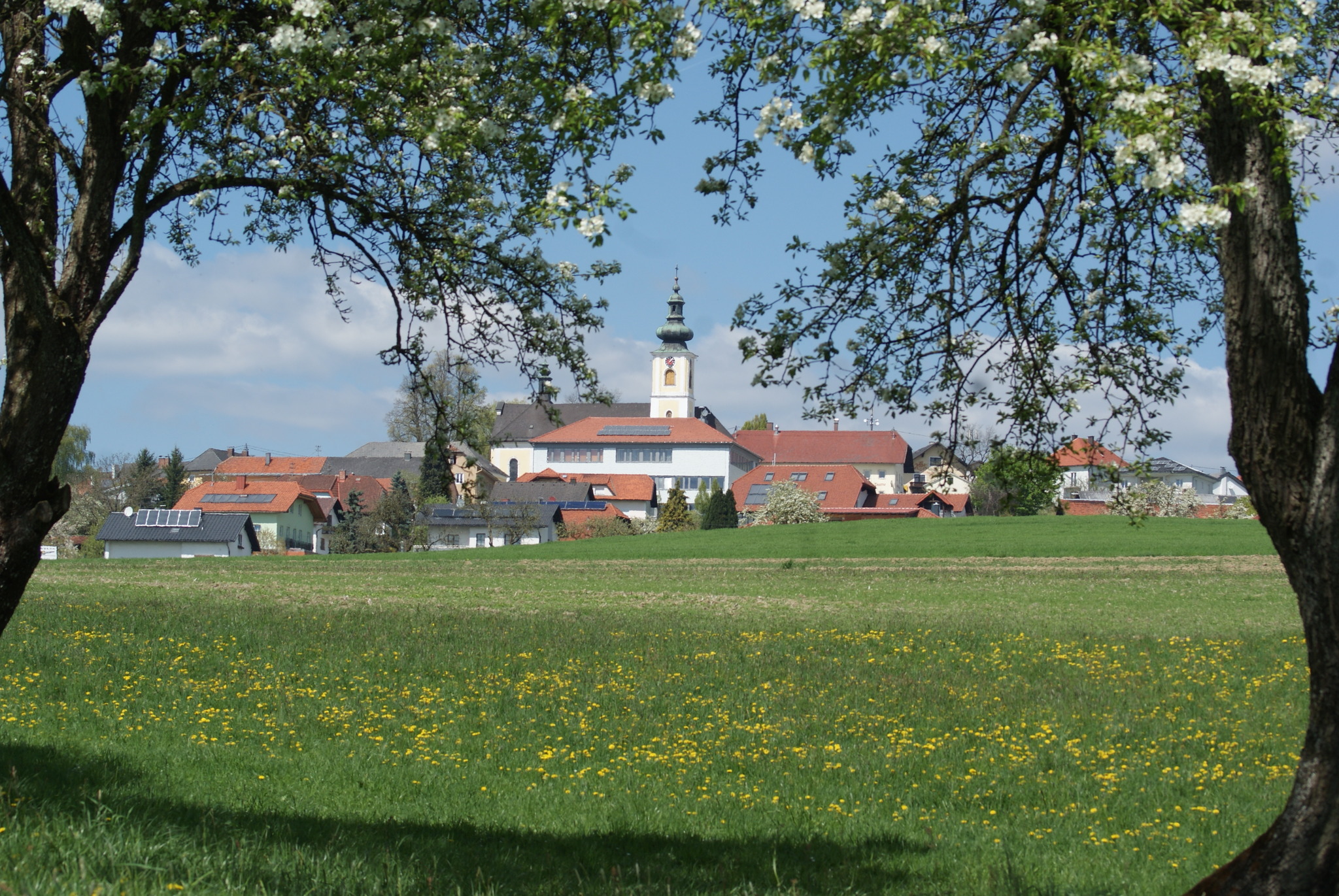 Schöne Aussichten - Grieskirchen & Eferding