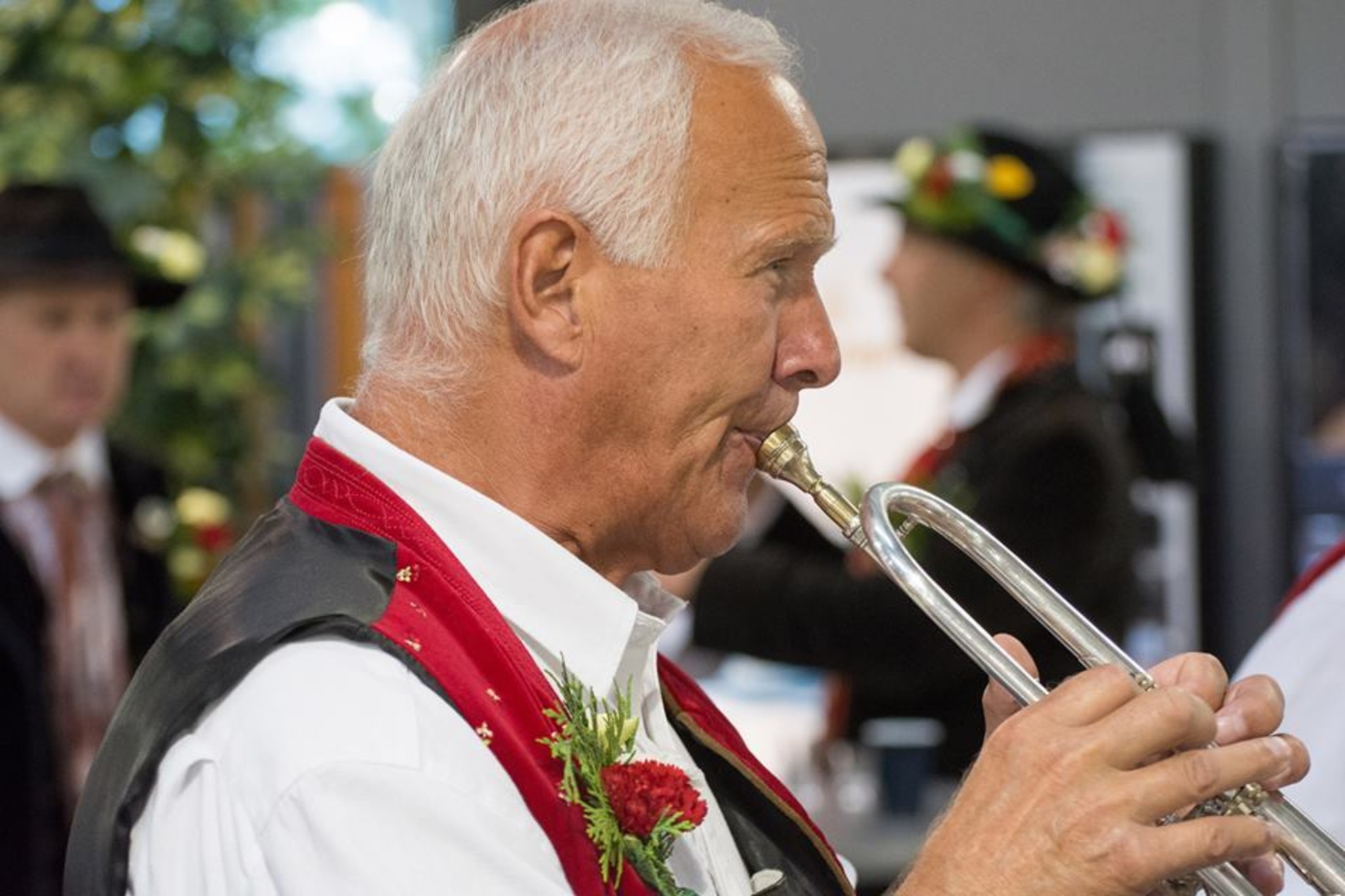 Unser "Sepp" hat uns für immer verlassen! - Villach