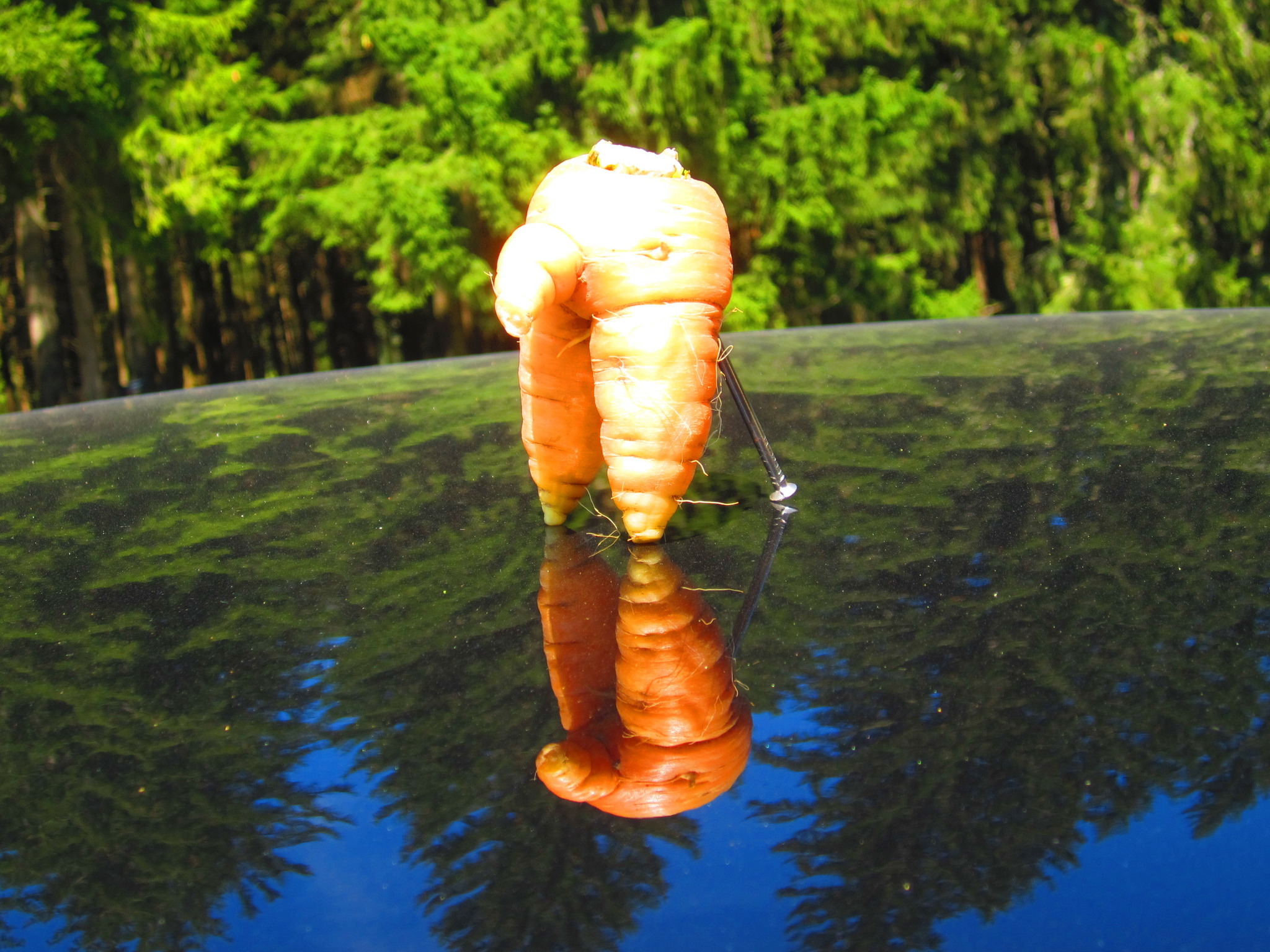 Ein Schelm ist, wer .... - Villach