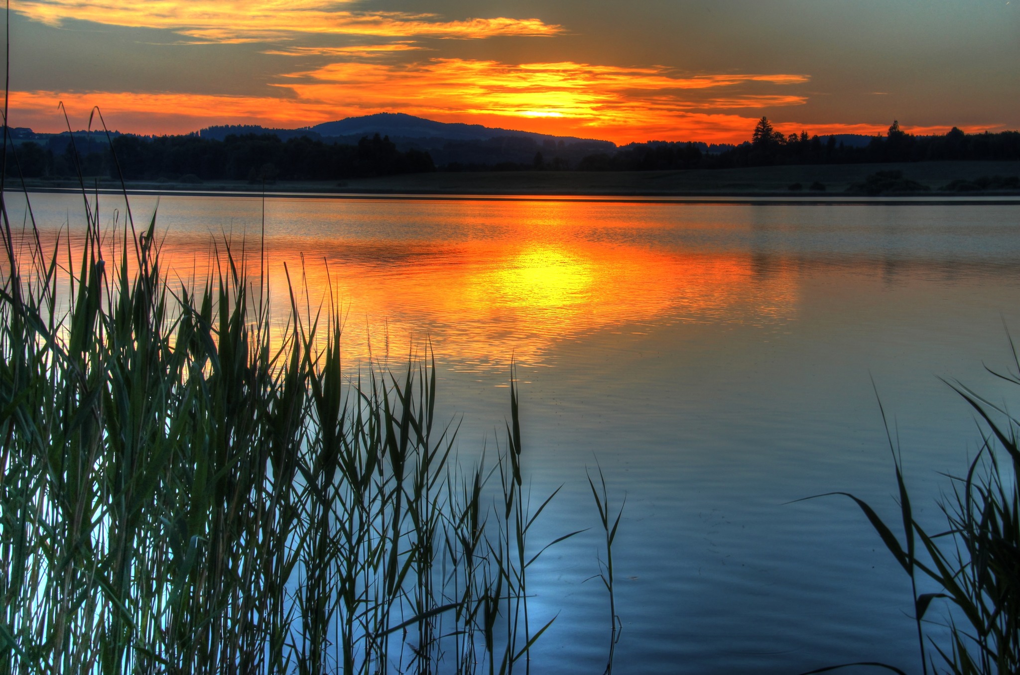Sonnenuntergang am Wallersee! Standort ist die Marieninsel. - Flachgau