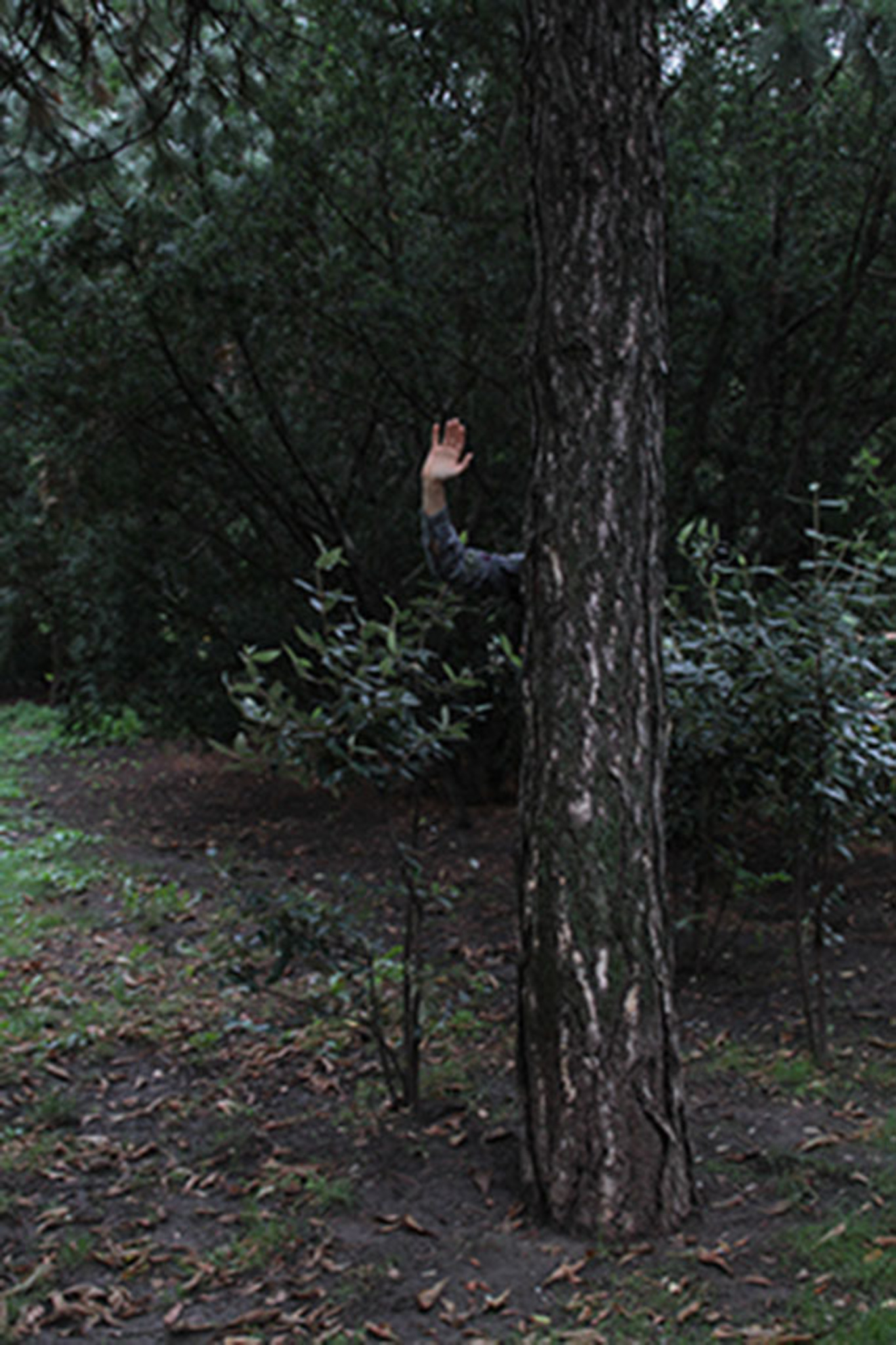 Vernissage PLEIN AIR - Eva Engelbert und Katrin Hornek - Neue Galerie ...