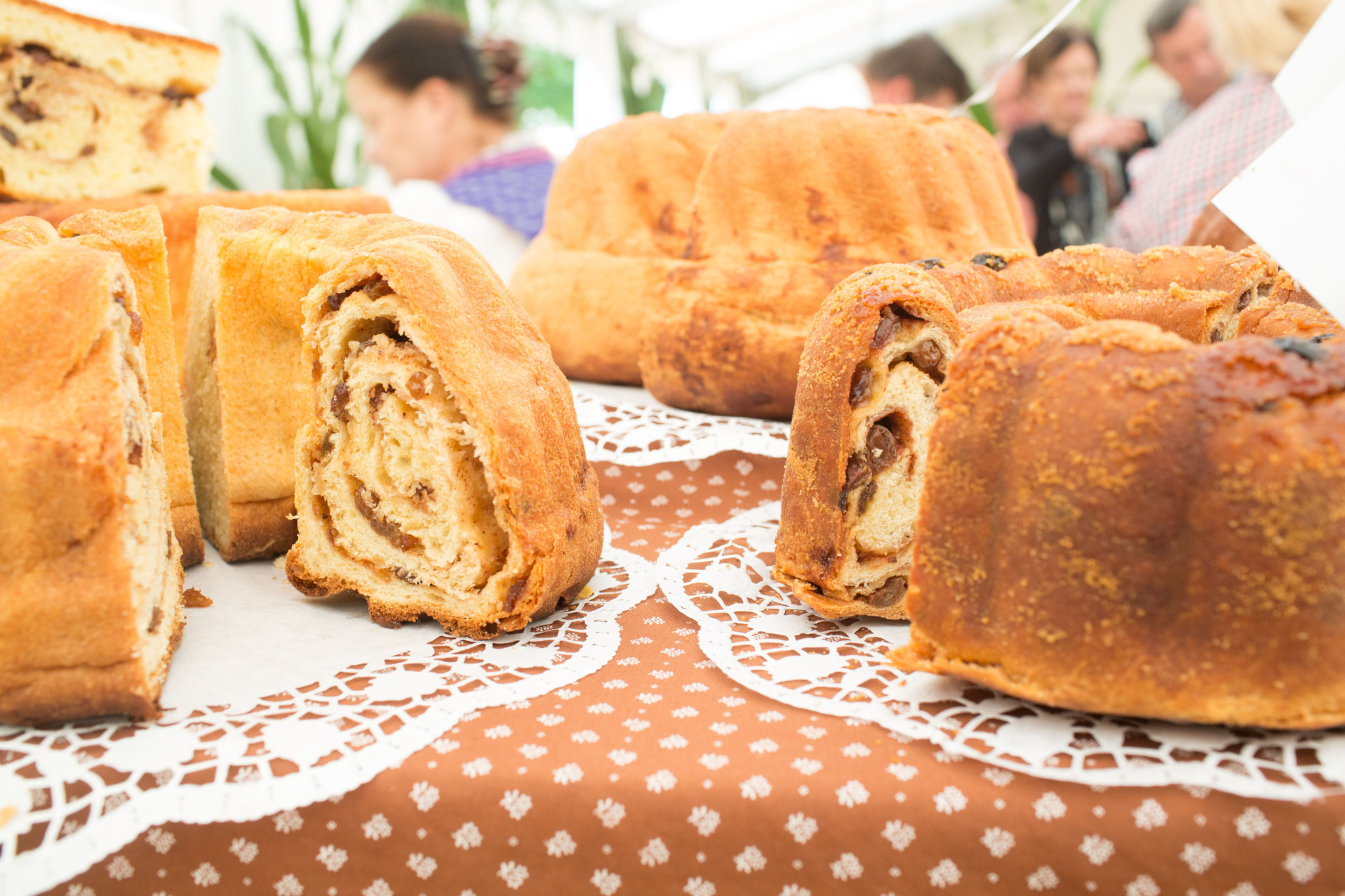 9. Pohaca Fest in Ferlach und Otelo Ferlach mittendrin - Klagenfurt Land