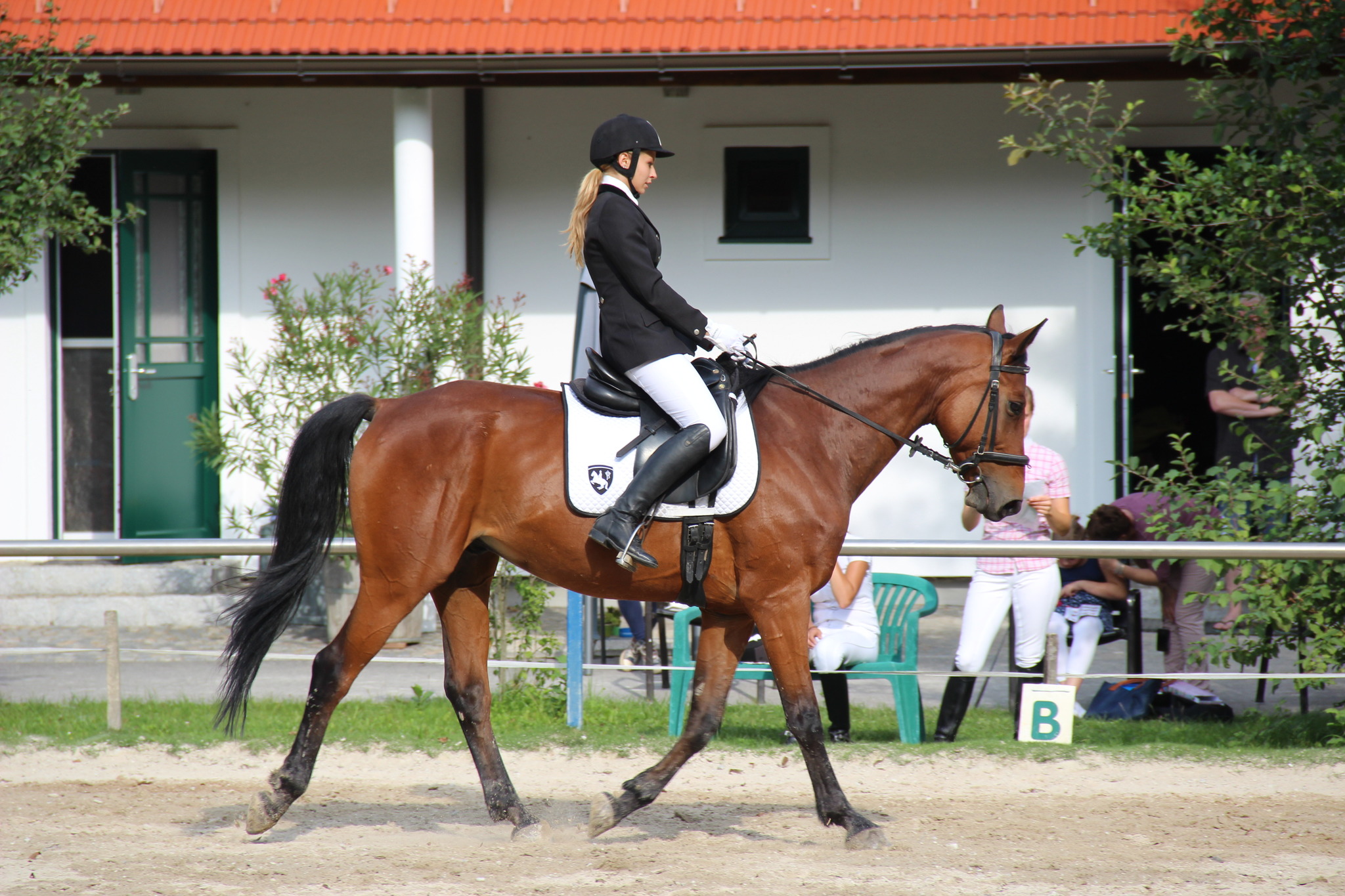 Weiße Fahne bei den offiziellen Reitprüfungen - Mattersburg
