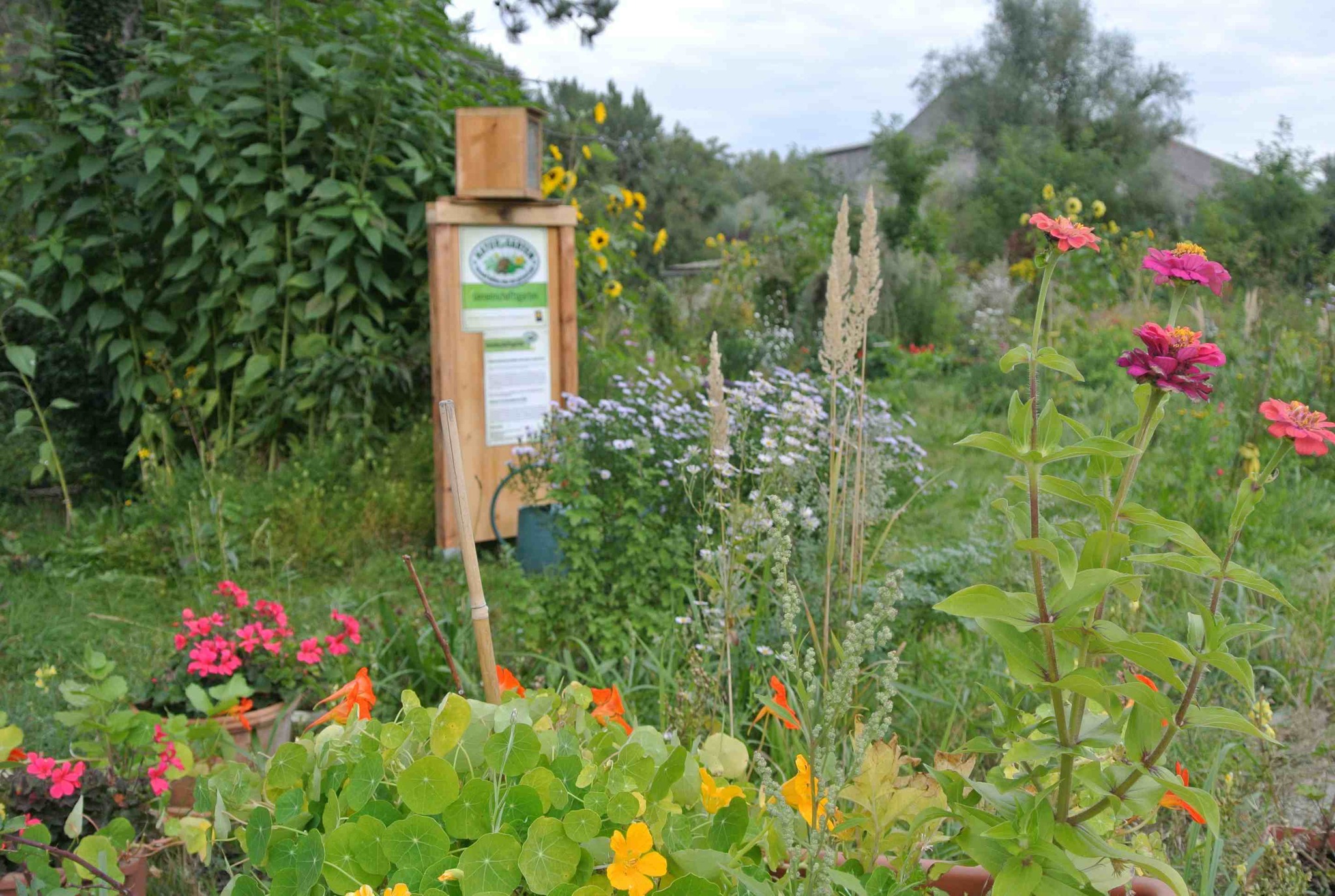 Gemeinschaftsgärten Kritzendorf - Greifenstein - Klosterneuburg