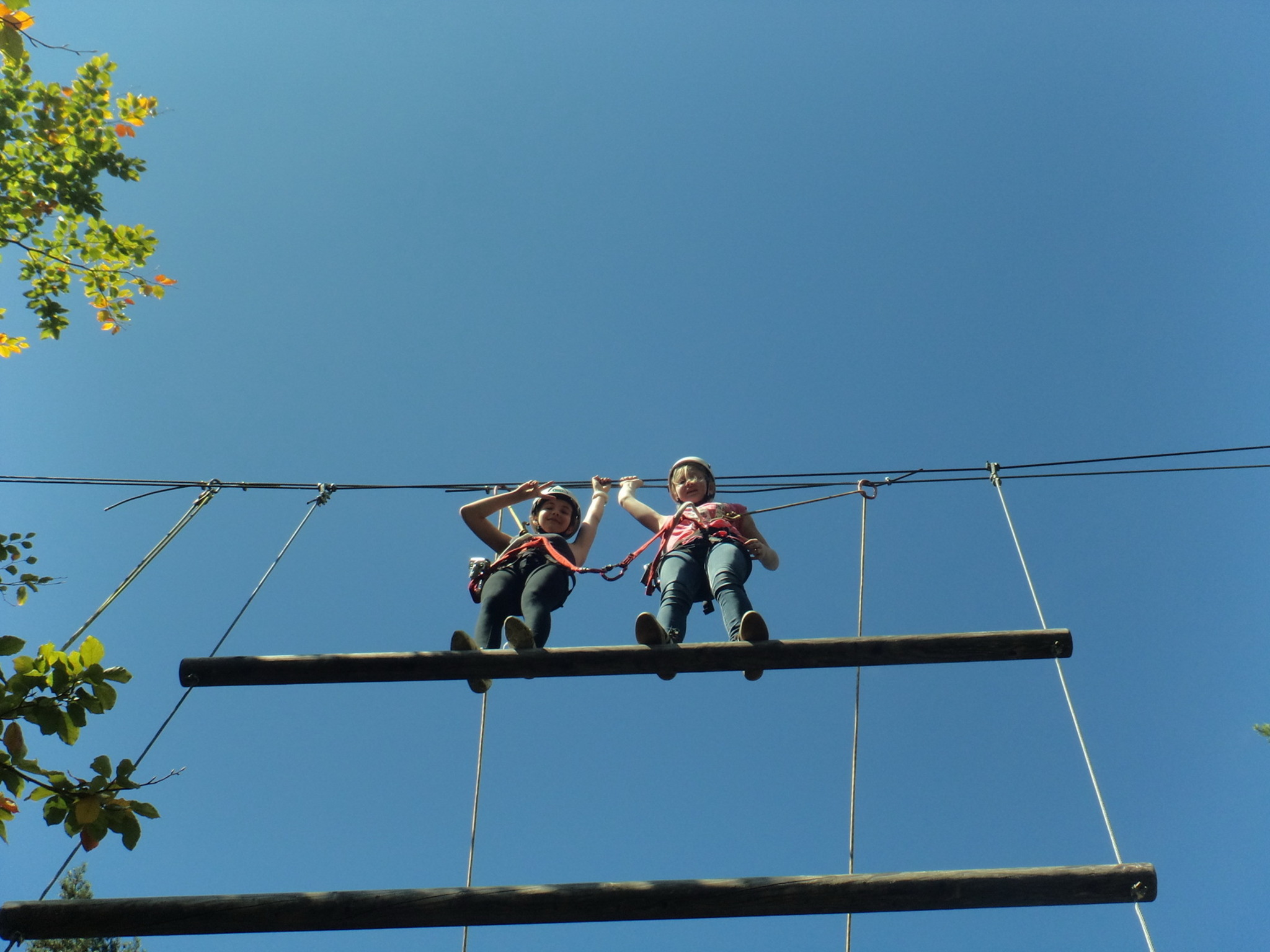 HBLW-Ried startet mit Kennenlerntagen im Klettergarten - Ried