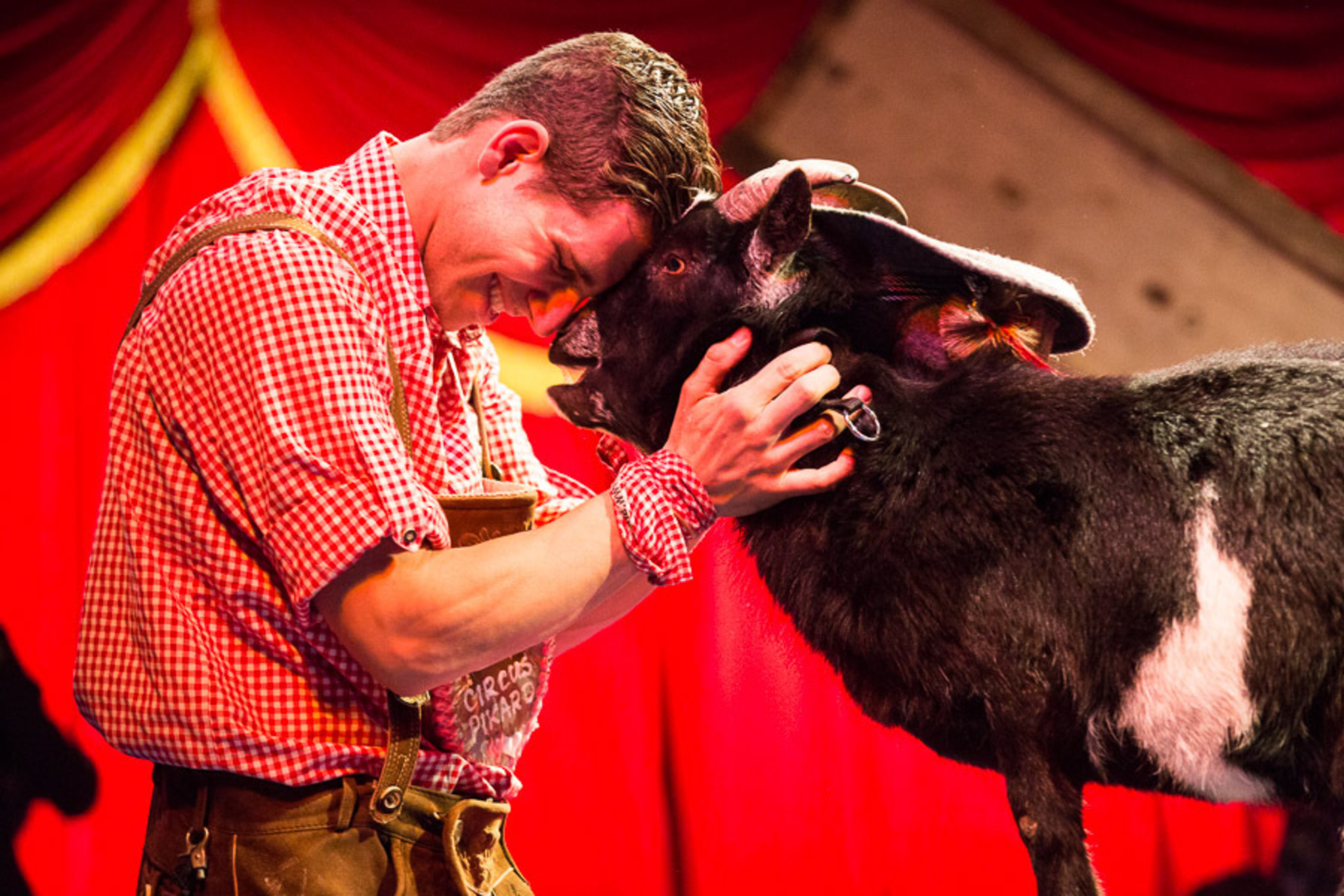 Top Artist Alexander Schneller, Zirkus & Dancing Stars - Horn