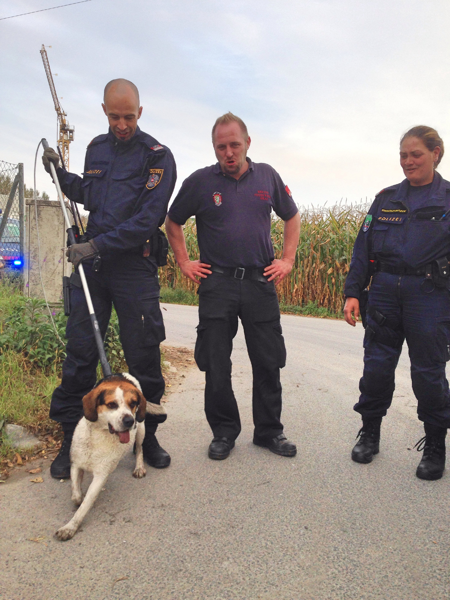 Narkoseschuss rettet freilaufenden Hund - Graz