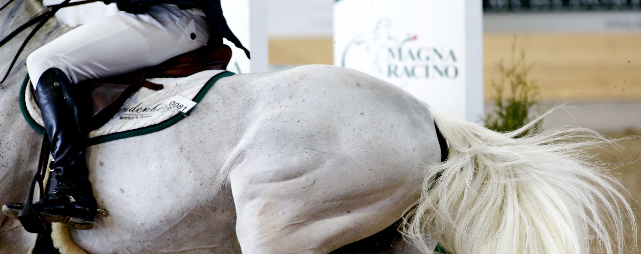 MAGNA RACINO Springsport News: Nationales Indoor Opening im MAGNA ...