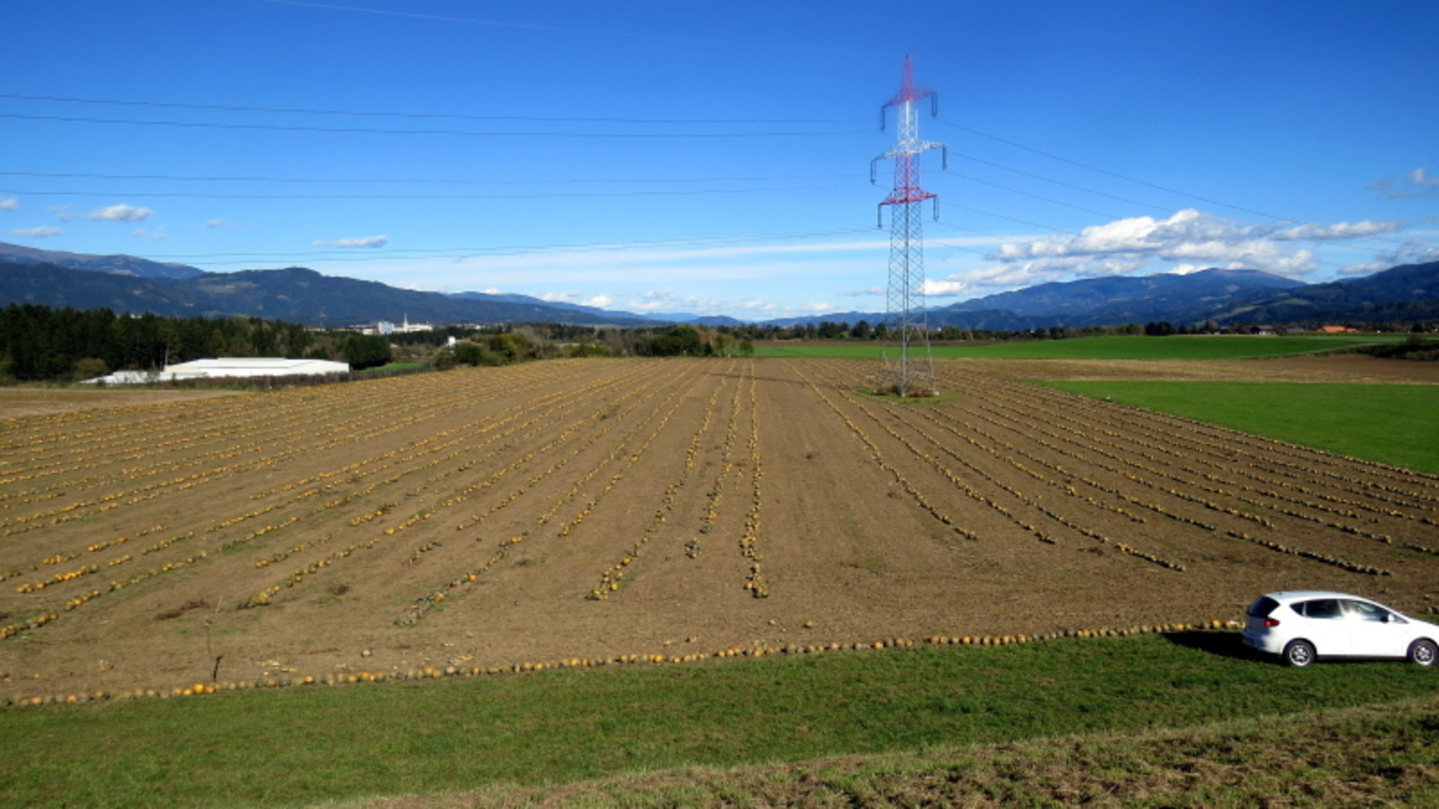Murtal-Radweg - Mattersburg