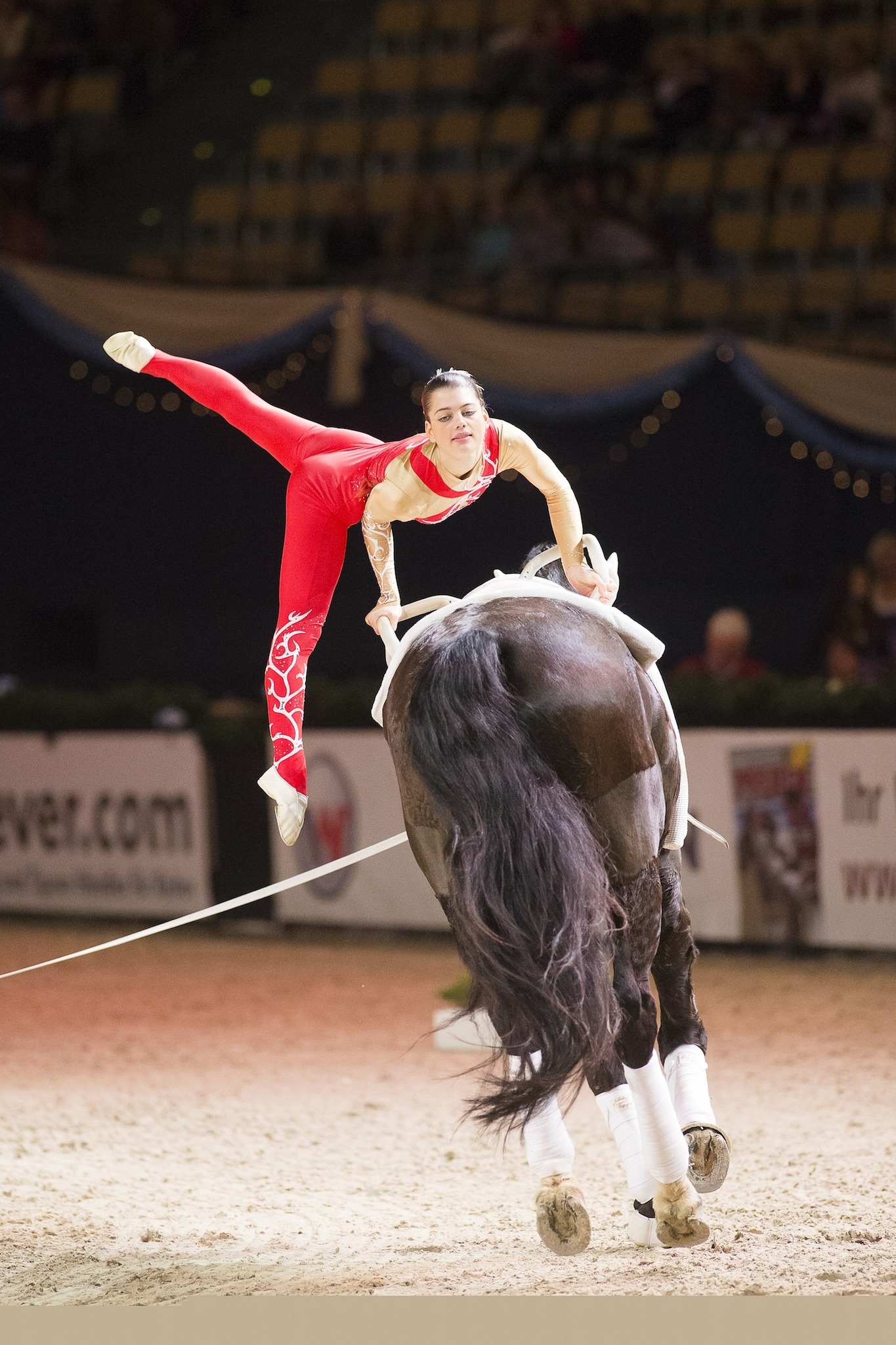 Voltigier-Weltelite kommt nach Wals - Flachgau