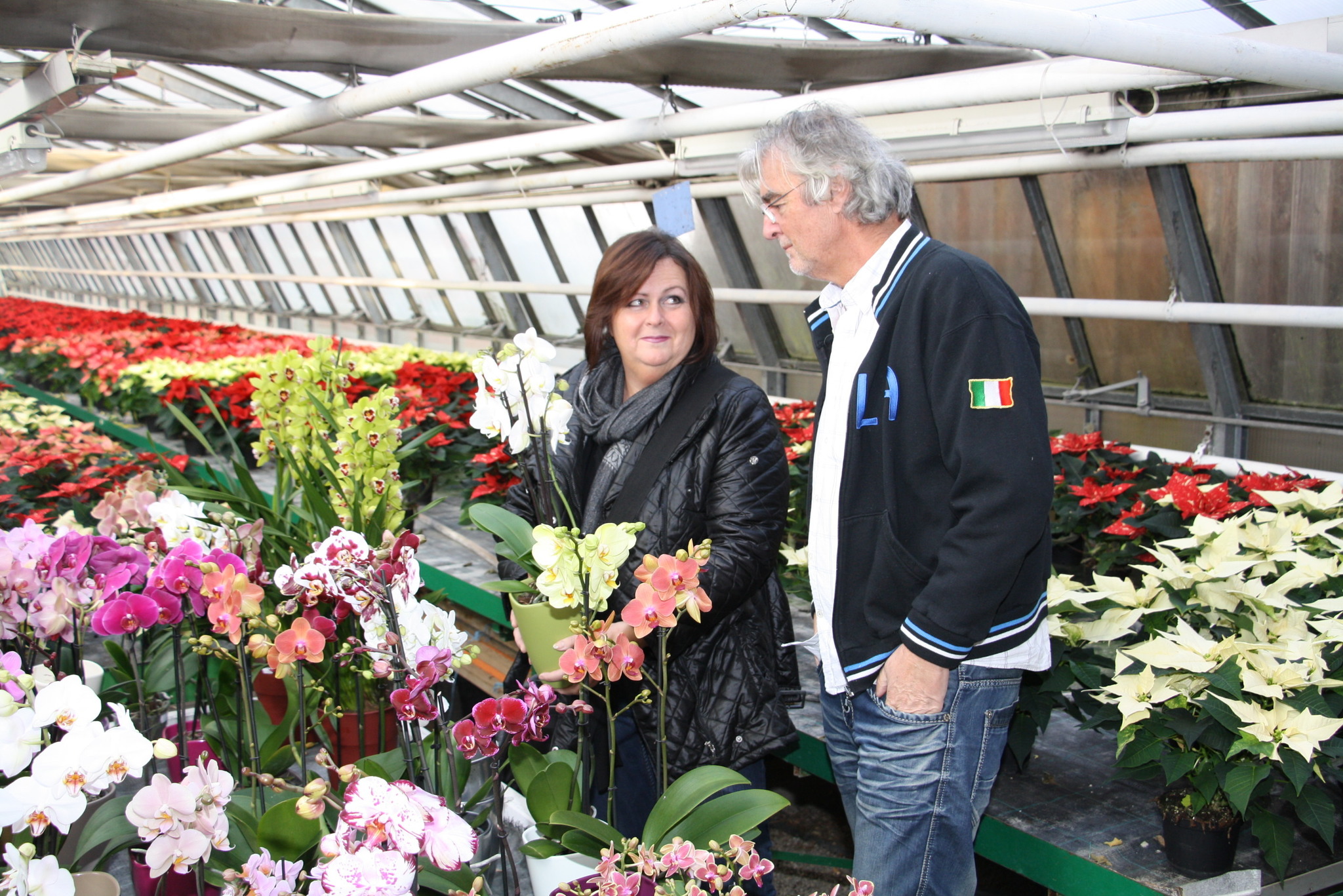 Welche Orchidee nehmen wir? Ursula und Karl-Heinz Murlasits hatten bei ...