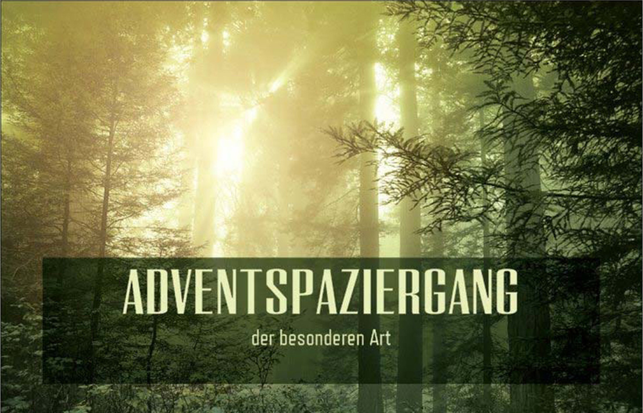 RAREDISEASE SALZBURG - ADVENTZEIT - Tennengau