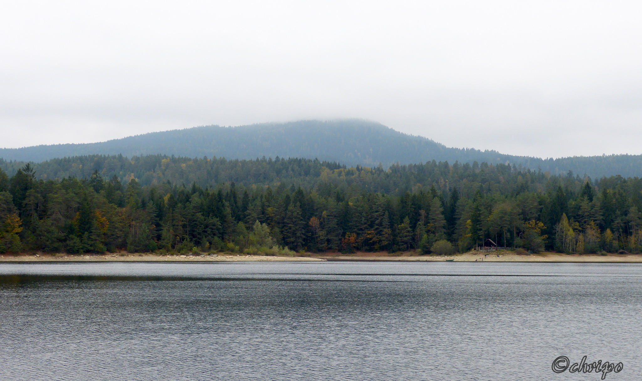 FORSTSEE und Kleinsee - Ottakring