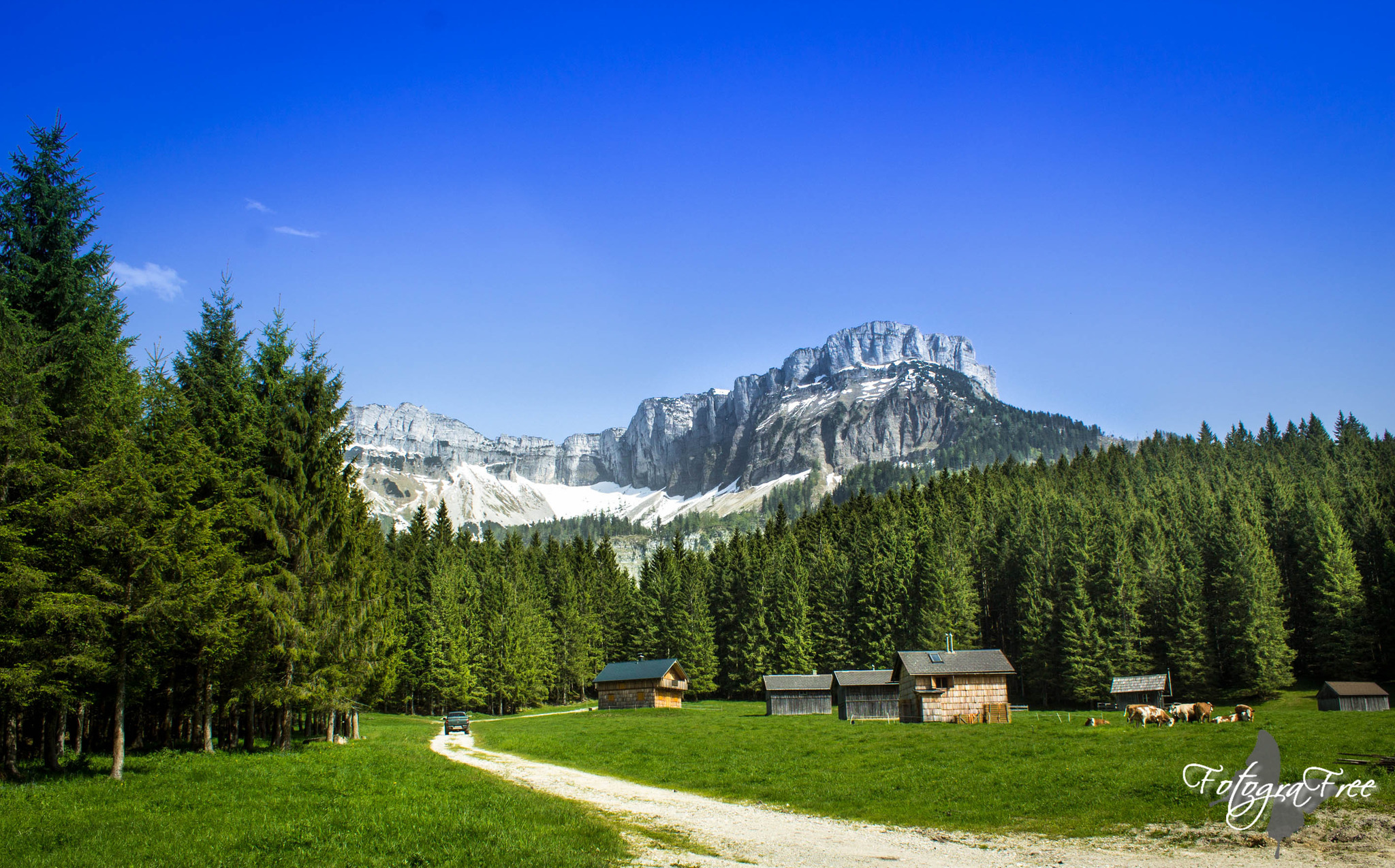 Blaa Alm - Altaussee - Liezen