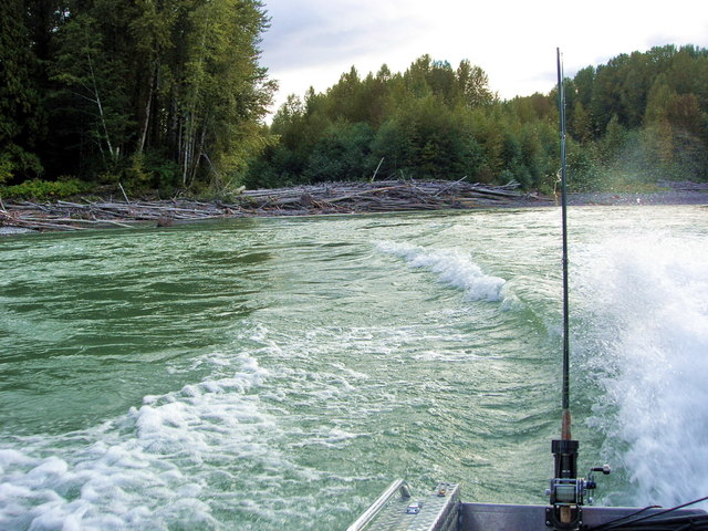 Lachsfischen am Skeena River in Kanada - Schwechat