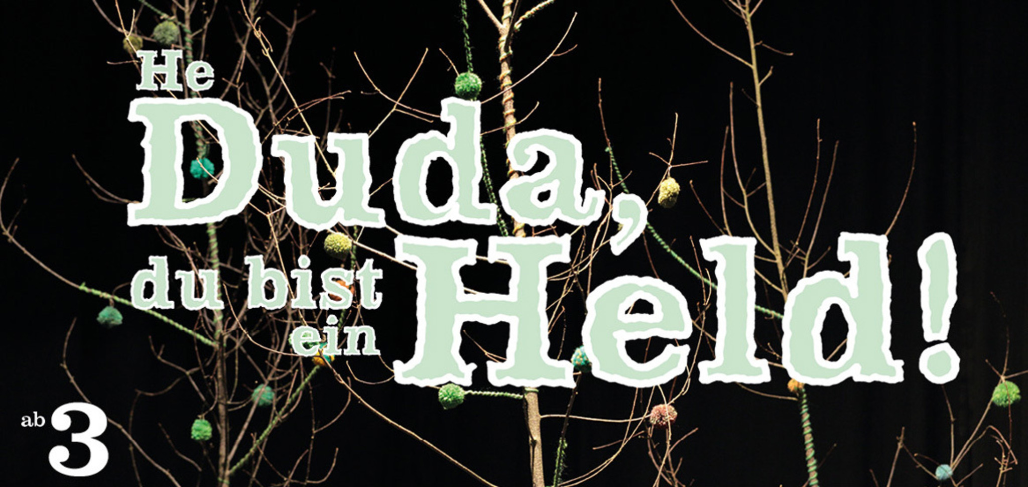 He Duda, du bist ein Held - Linz