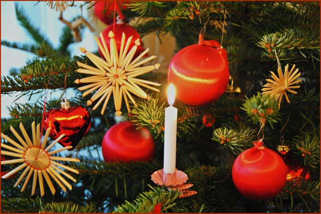 Der Christbaum. - Innsbruck