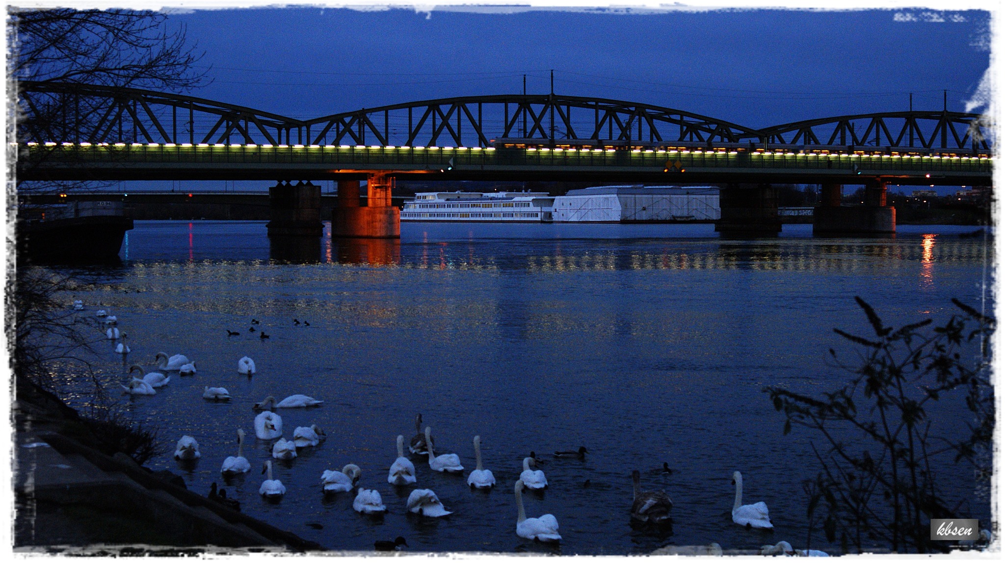 Das ist NICHT die Badebucht in der Lobau - Brigittenau