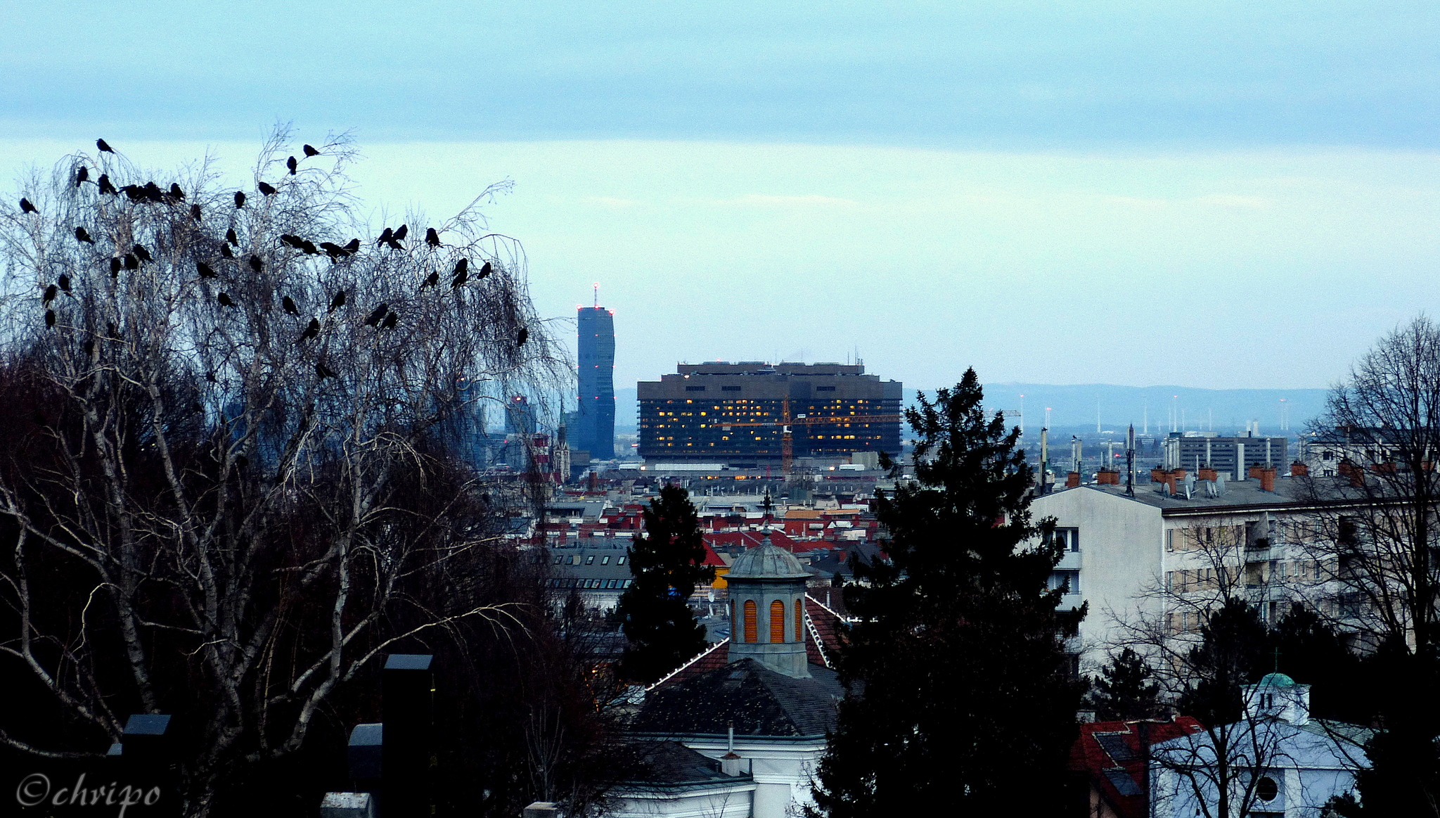 Blick von Ottakring zum AKH - Ottakring
