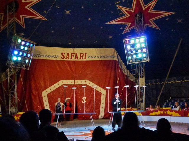 Circus Safari - Thema auf meinbezirk.at