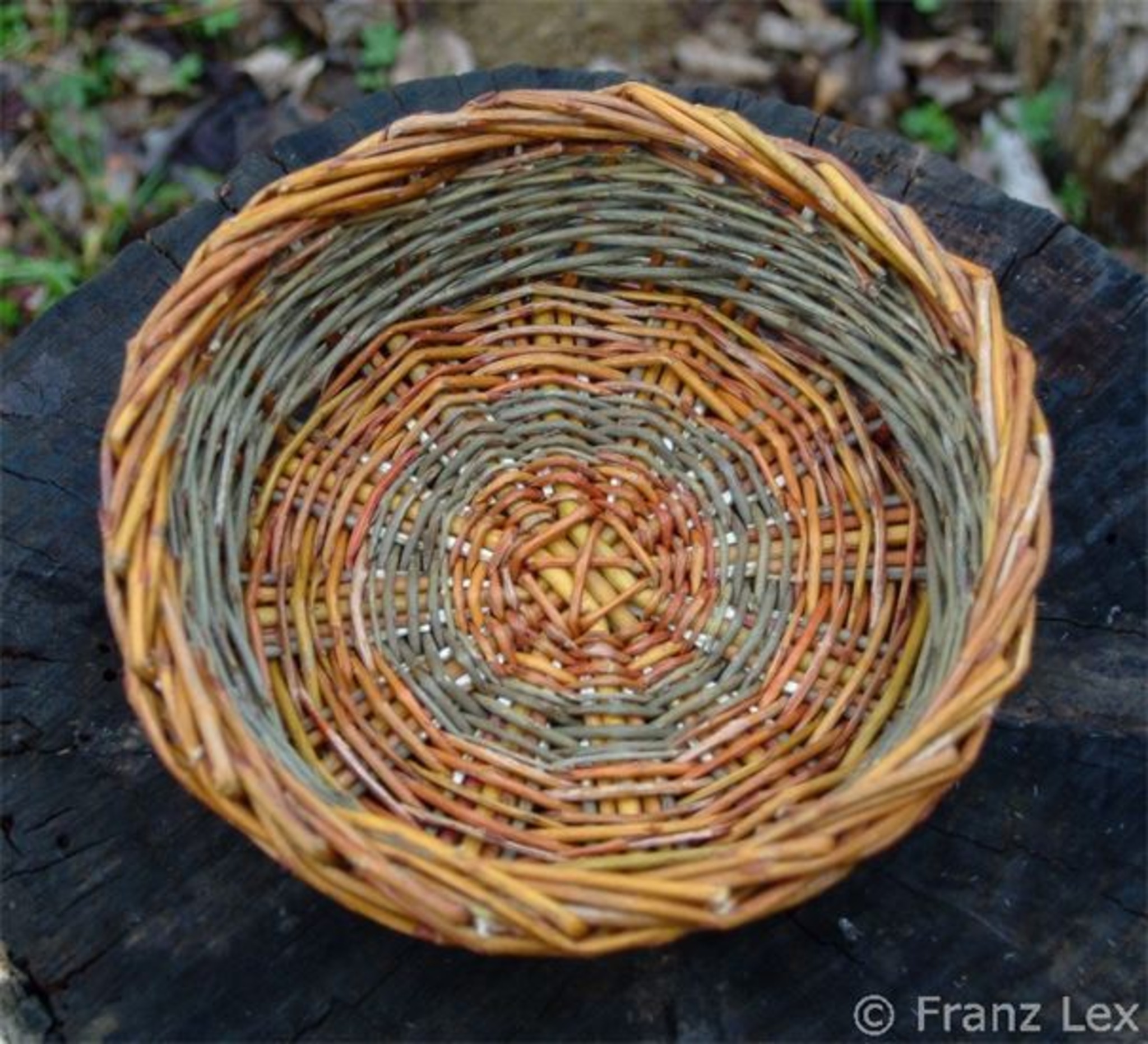 Korbflechten kann man lernen - Jennersdorf