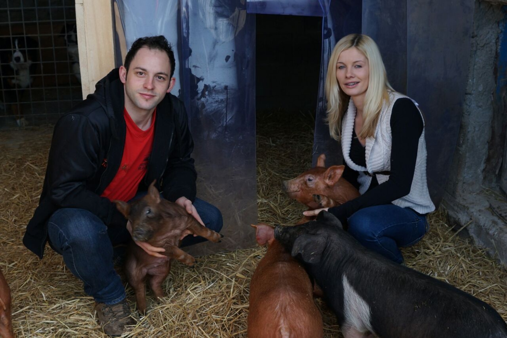 "Wir wollen weg vom Billigfleisch" - Lavanttal