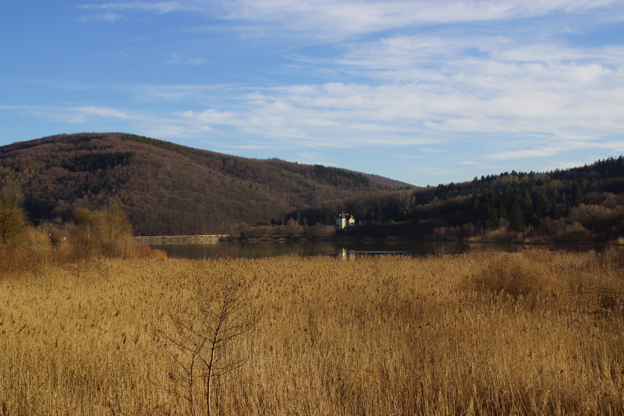 Wienerwaldsee - Liesing